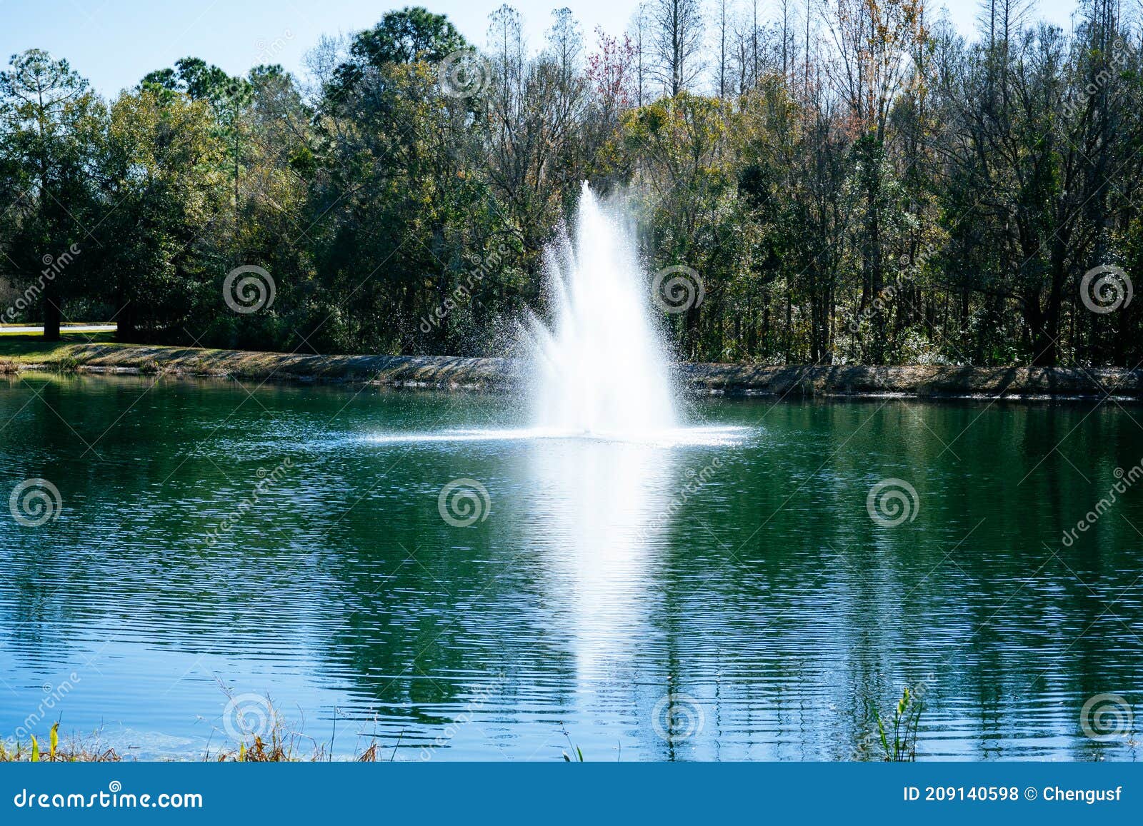 A Beautiful Florida Community Pond in Spring Stock Photo - Image of ...
