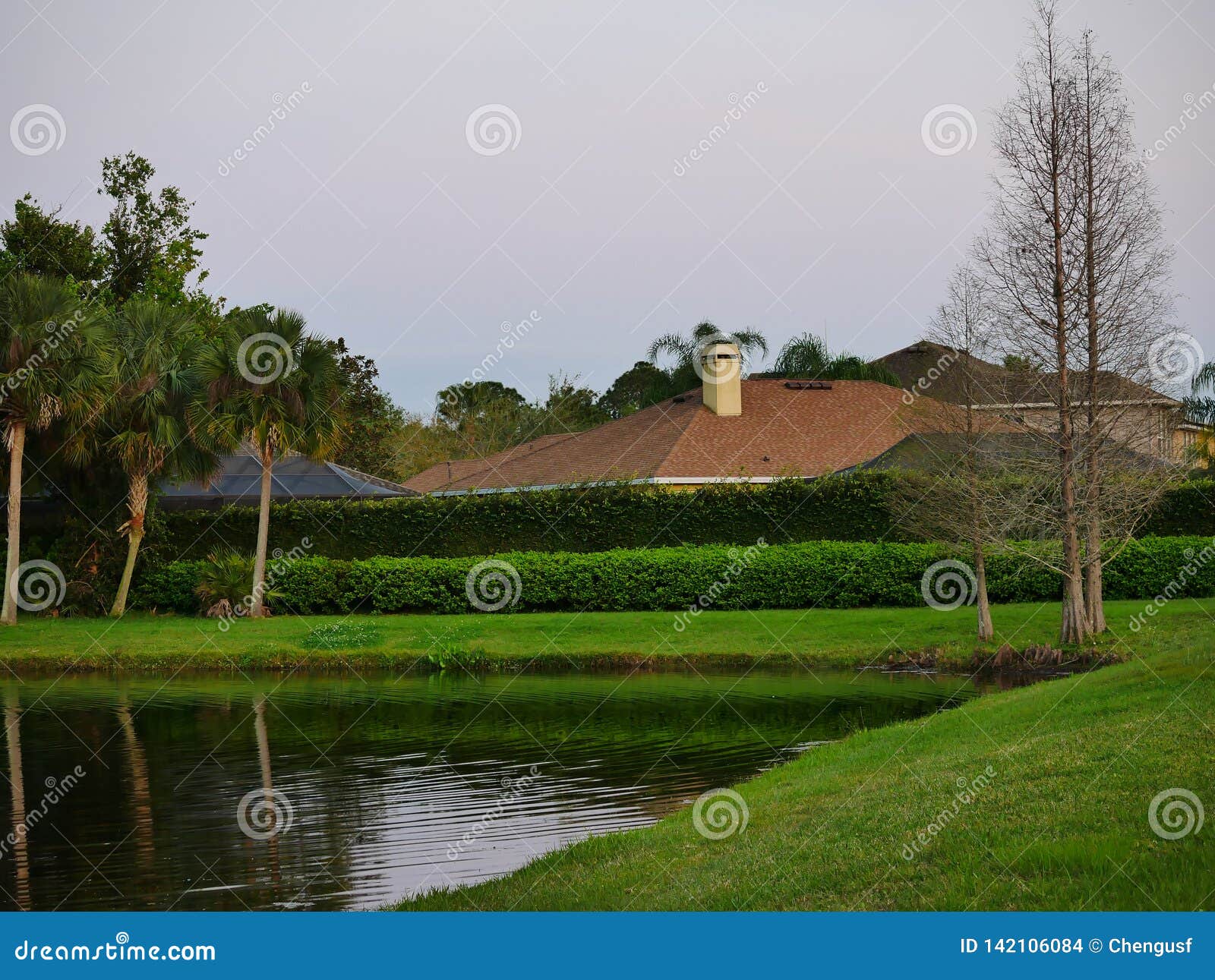 Typical Florida Foliage Stock Photography | CartoonDealer.com #46115504