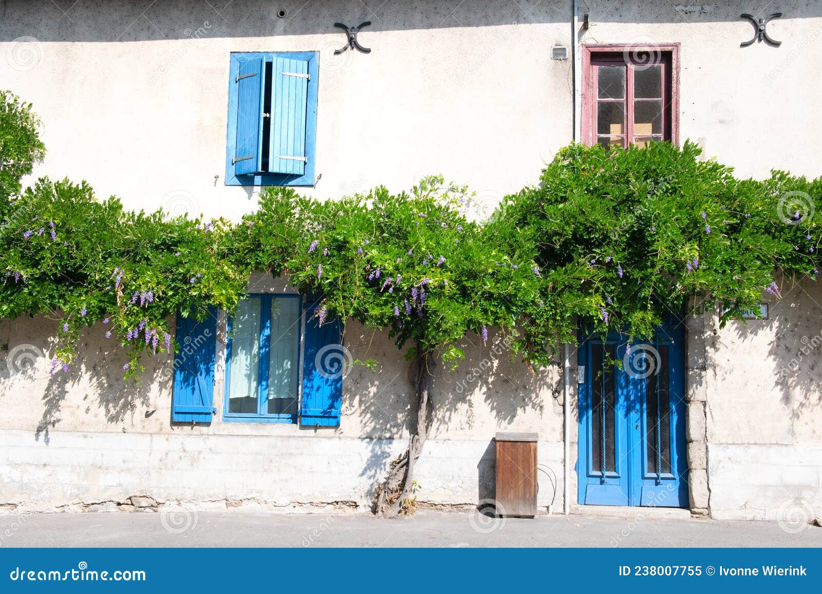Typical French house stock image. Image of wisteria - 238007755