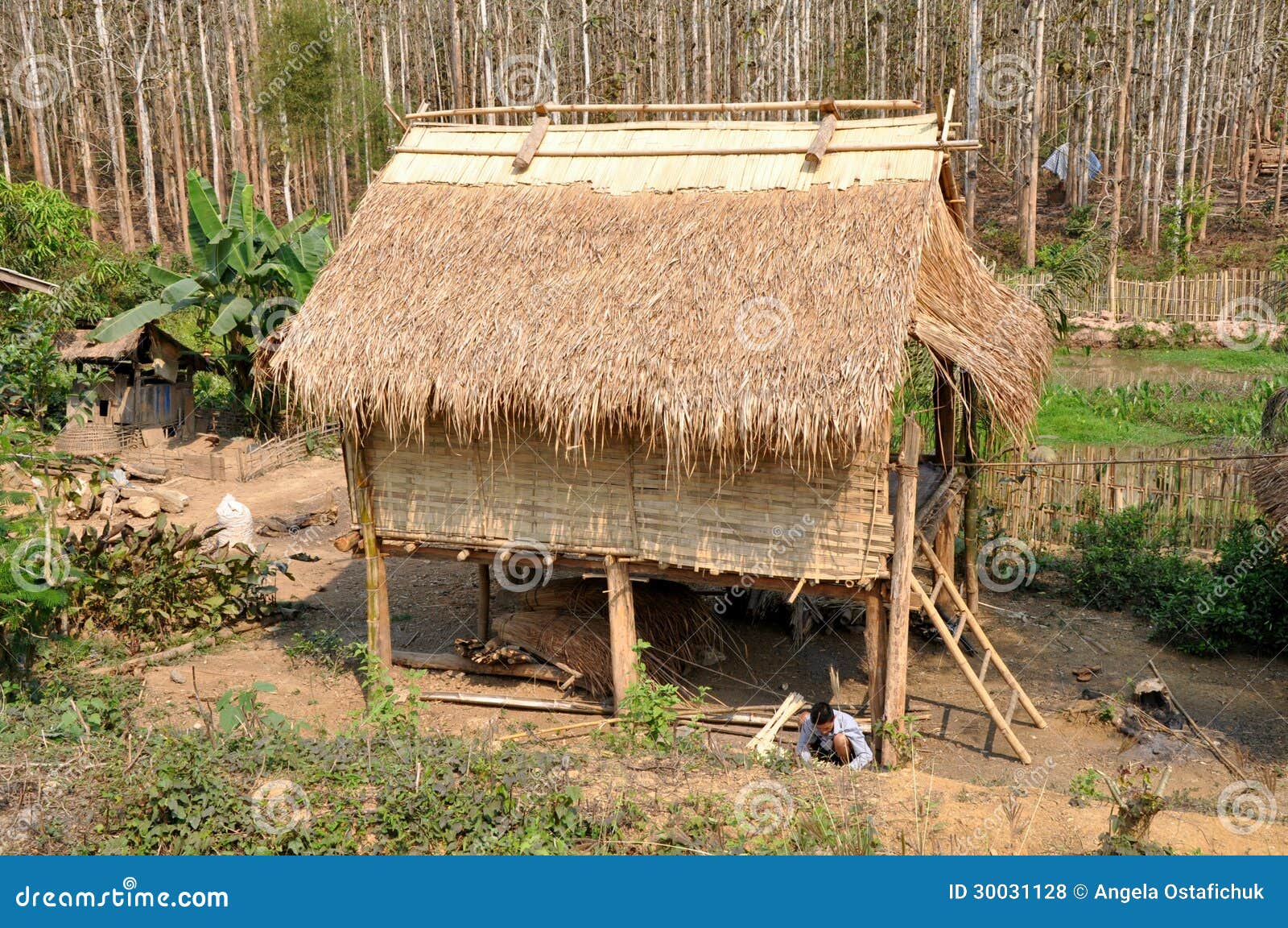Grass Hut editorial stock photo. Image of travel, grass - 30031128