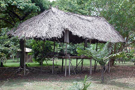 Typical Habitation of the Native Amazon Indian Stock Image - Image of ...