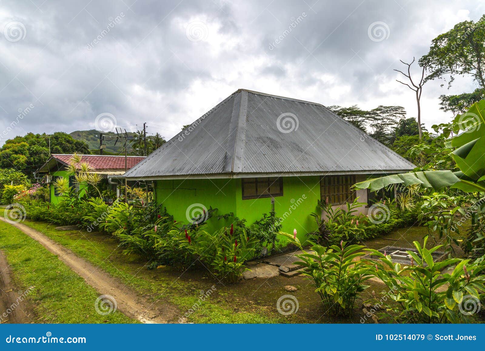 Polynesian Home stock image. Image of french, plants - 102514079
