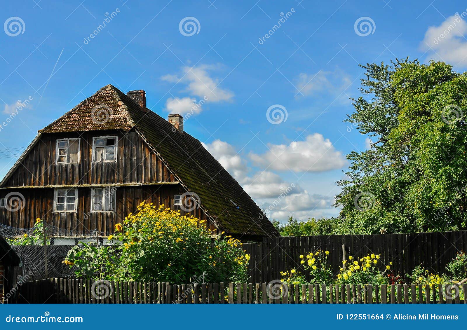 Typical House of the North of Europe Stock Photo - Image of estate ...