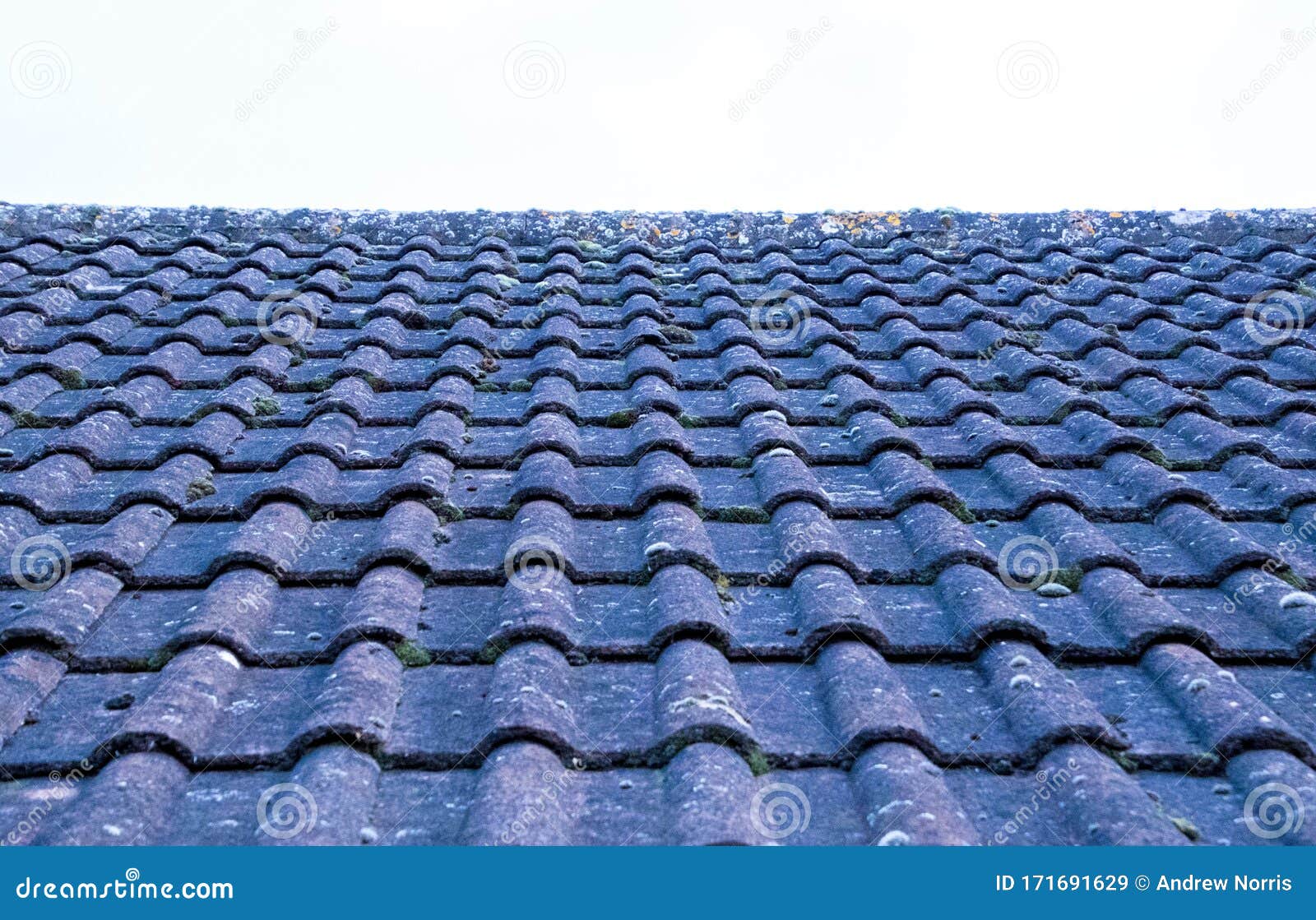 Household Sloping Rooftop stock image. Image of slates - 171691629