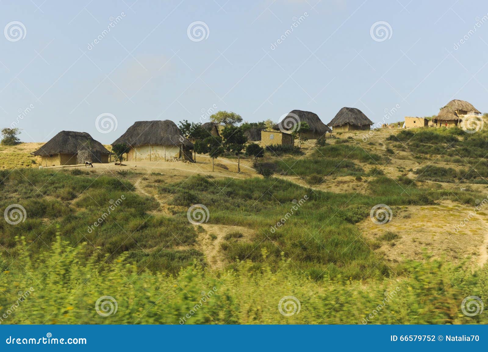 Typical Houses in Africa stock photo. Image of plants - 66579752