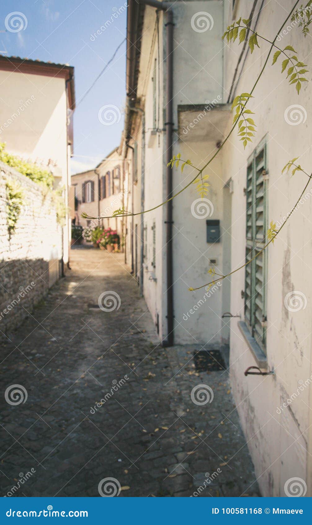 Italian alley stock photo. Image of architecture, vertical - 100581168