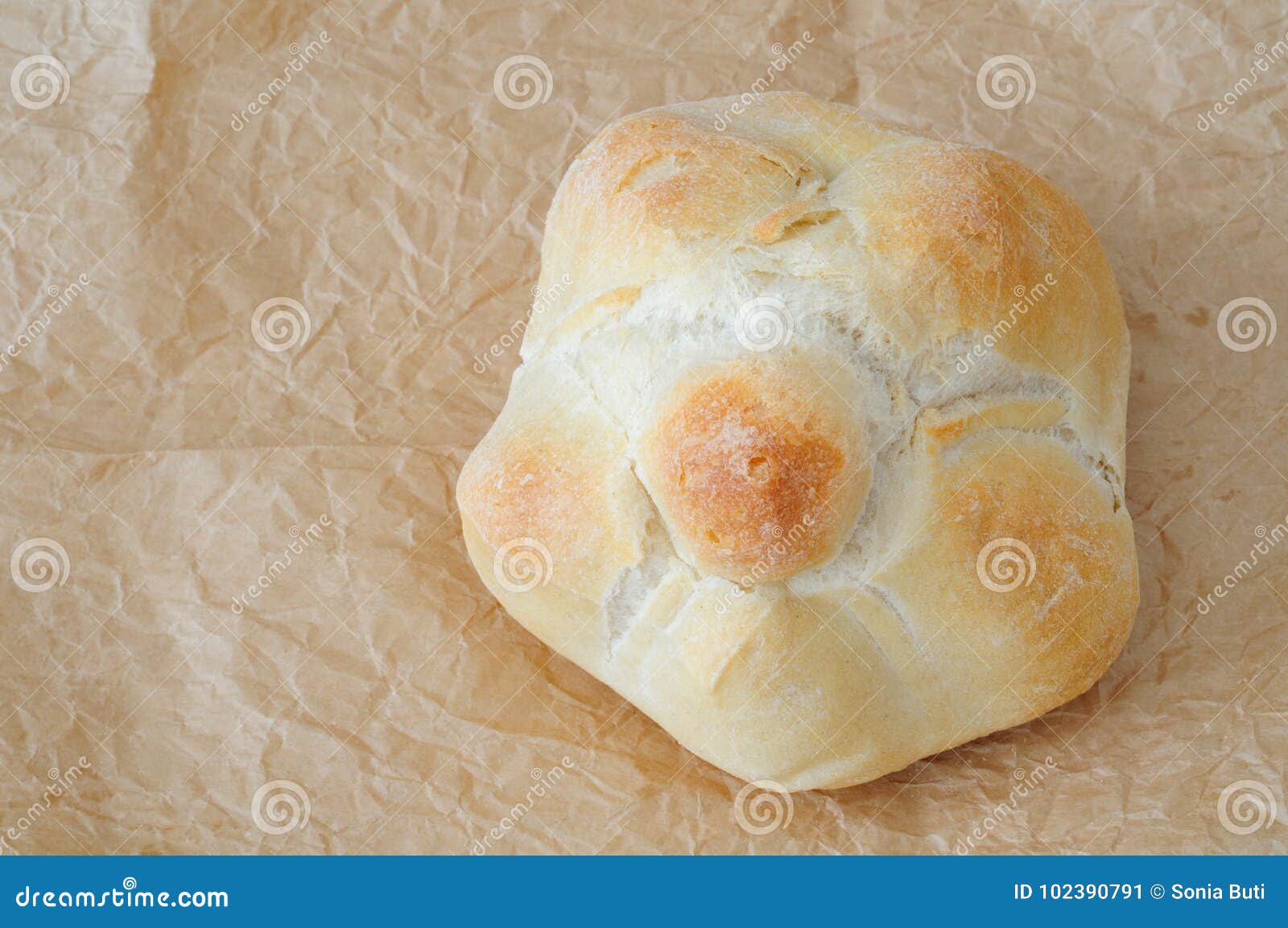 Typical Italian Bread, Rosetta Stock Image - Image of natural ...