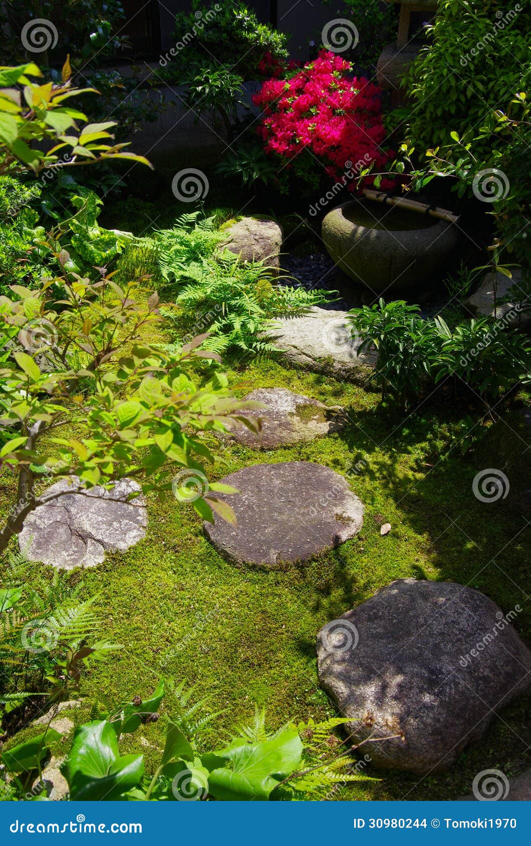 Typical Japanese garden stock photo. Image of stone, azalea - 30980244