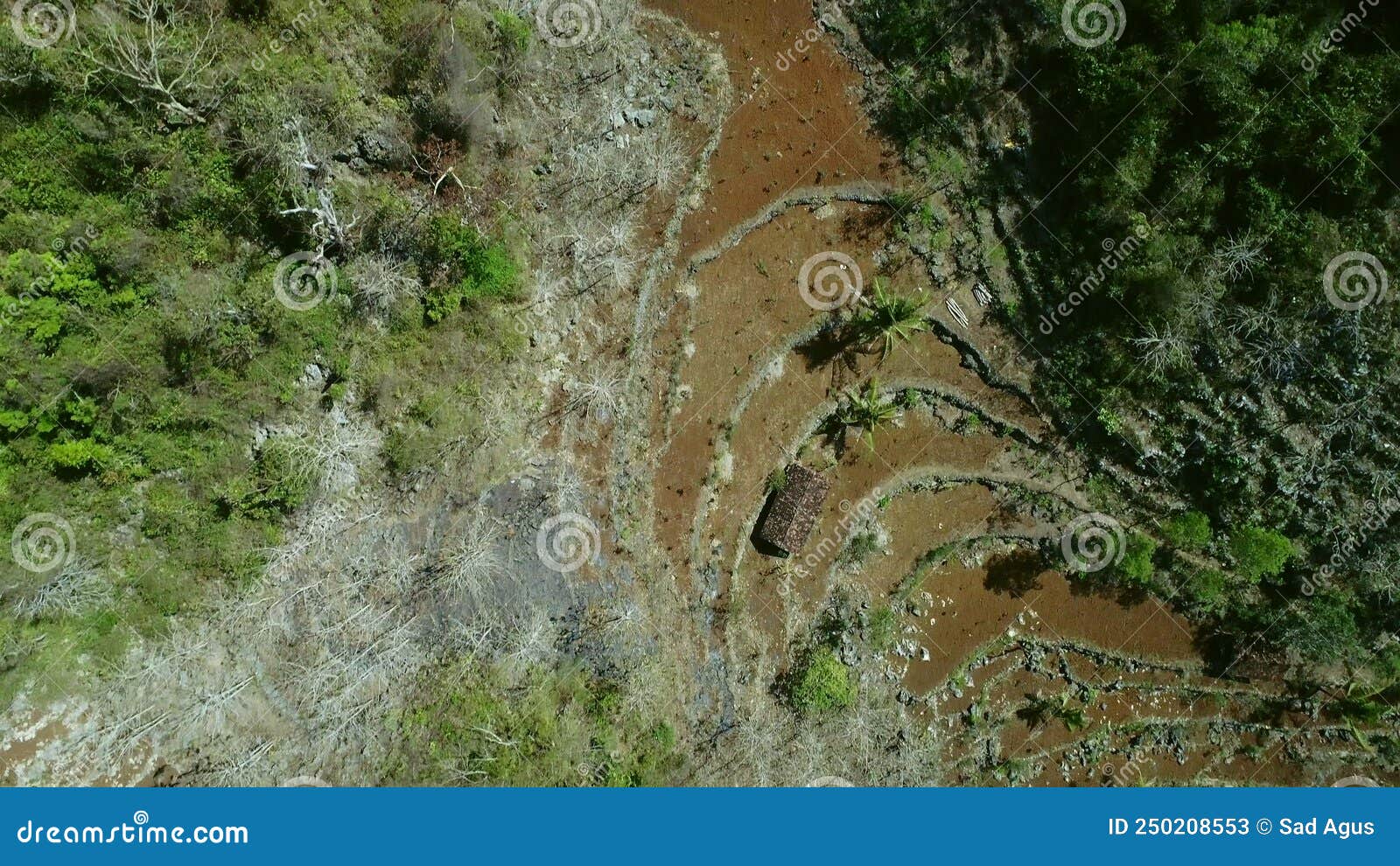 Small Valley Top Down Aerial Footage View of Karst Topography Stock ...