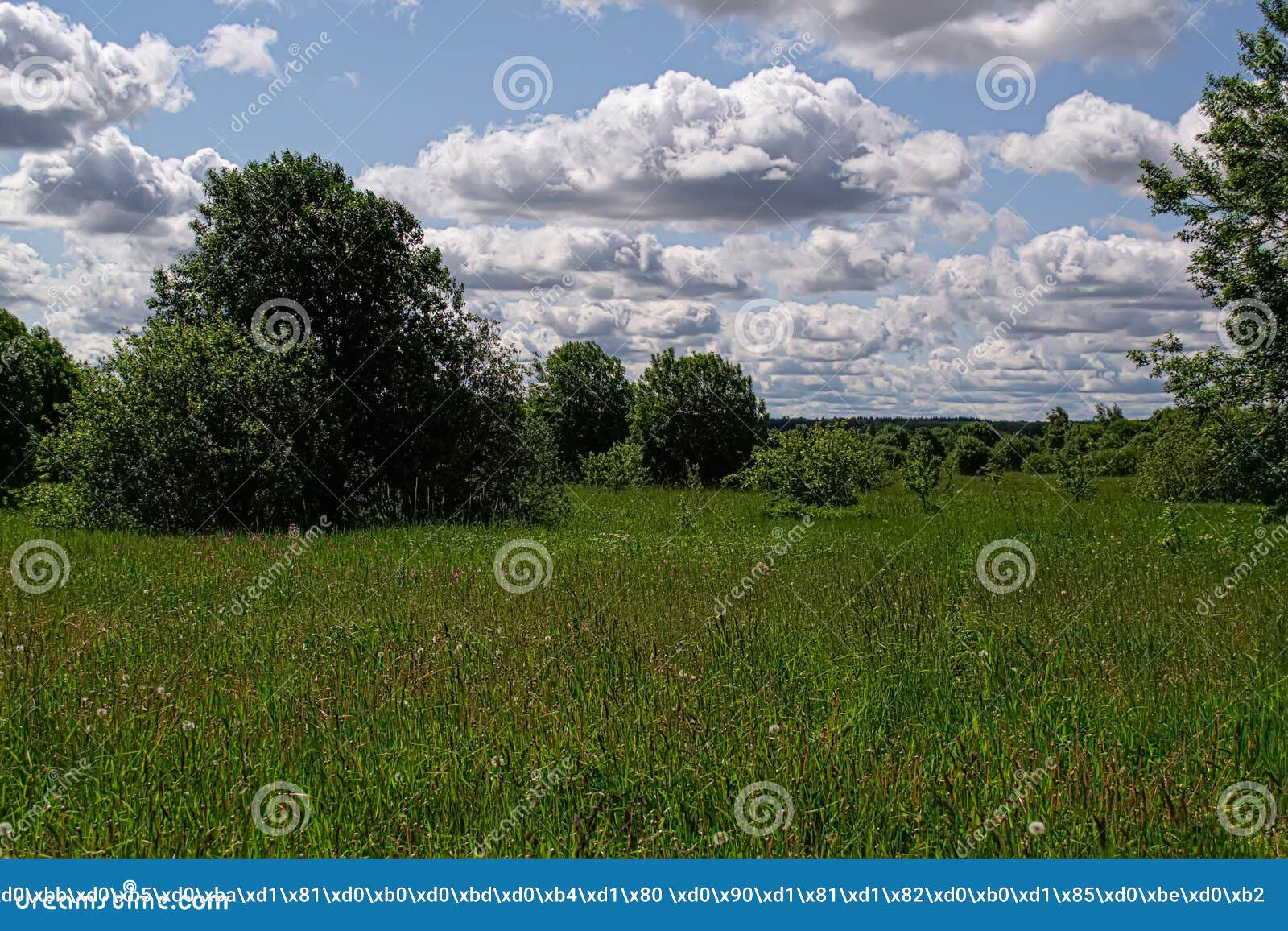 A Typical Landscape on the Central Russian Upland, Which is Located on ...