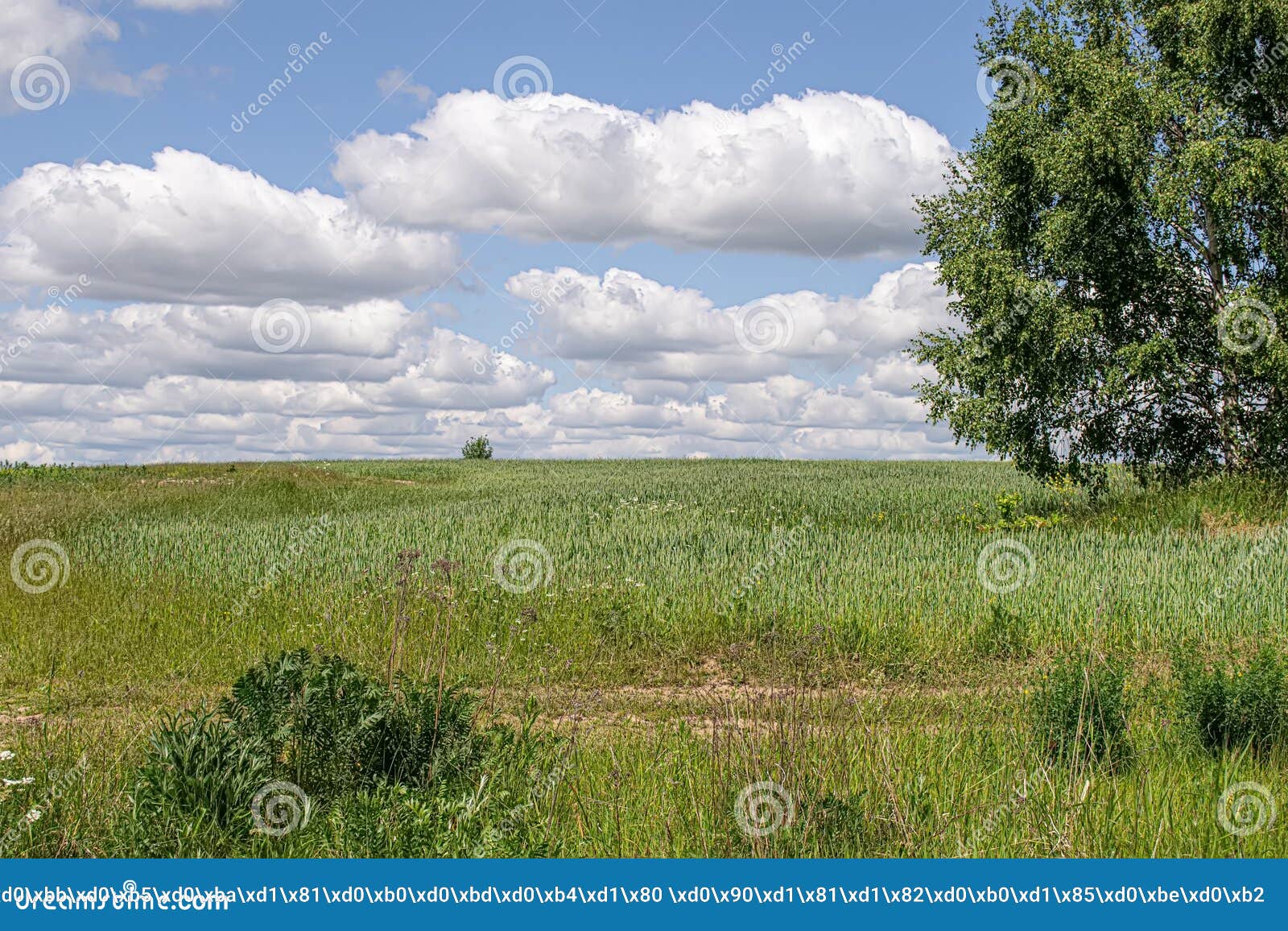 A Typical Landscape on the Central Russian Upland, Which is Located on ...