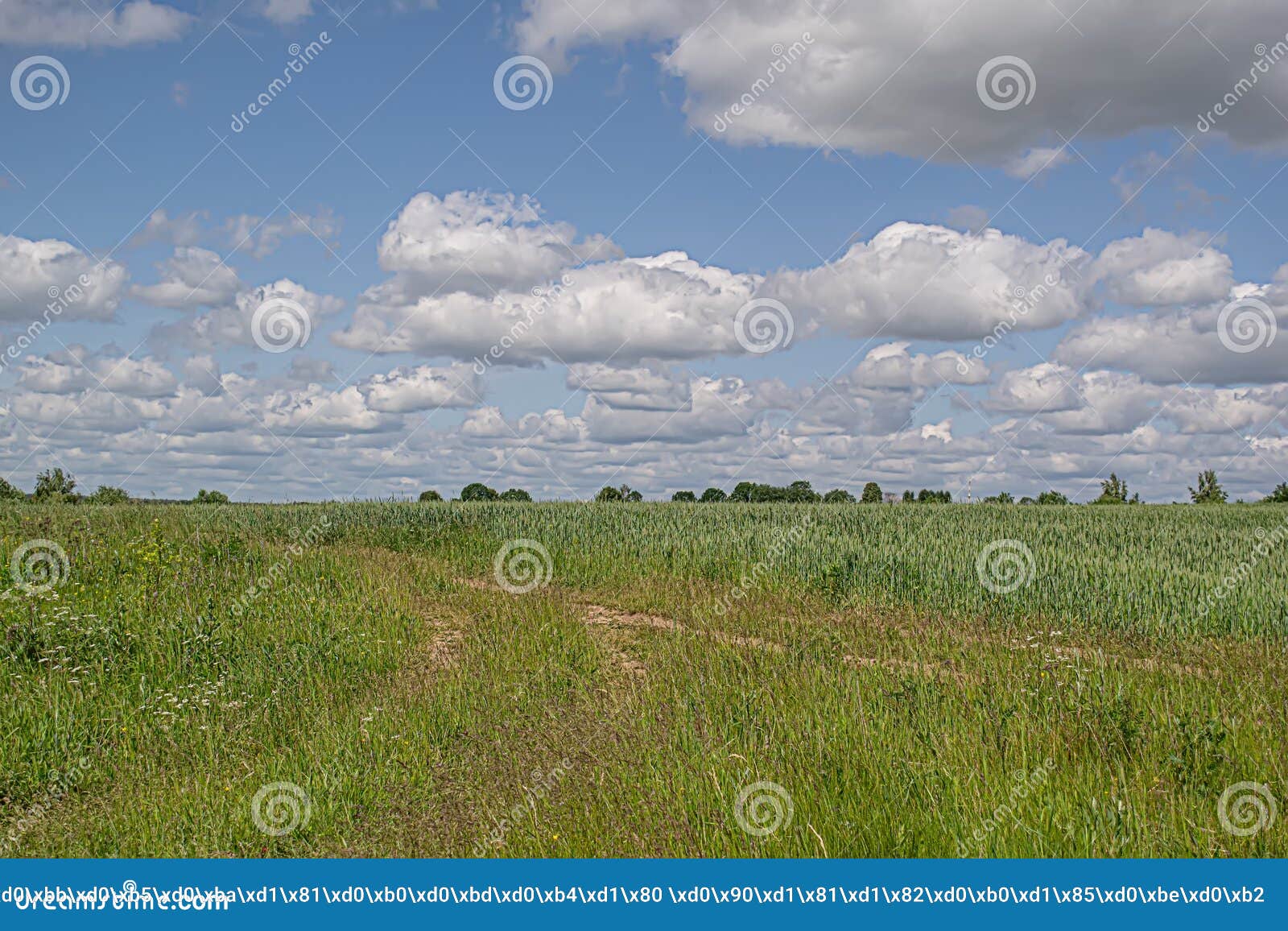 A Typical Landscape on the Central Russian Upland, Which is Located on ...