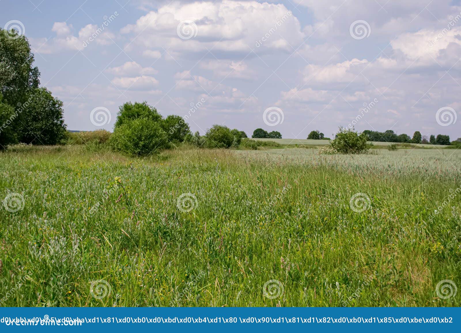 A Typical Landscape on the Central Russian Upland, Which is Located on ...