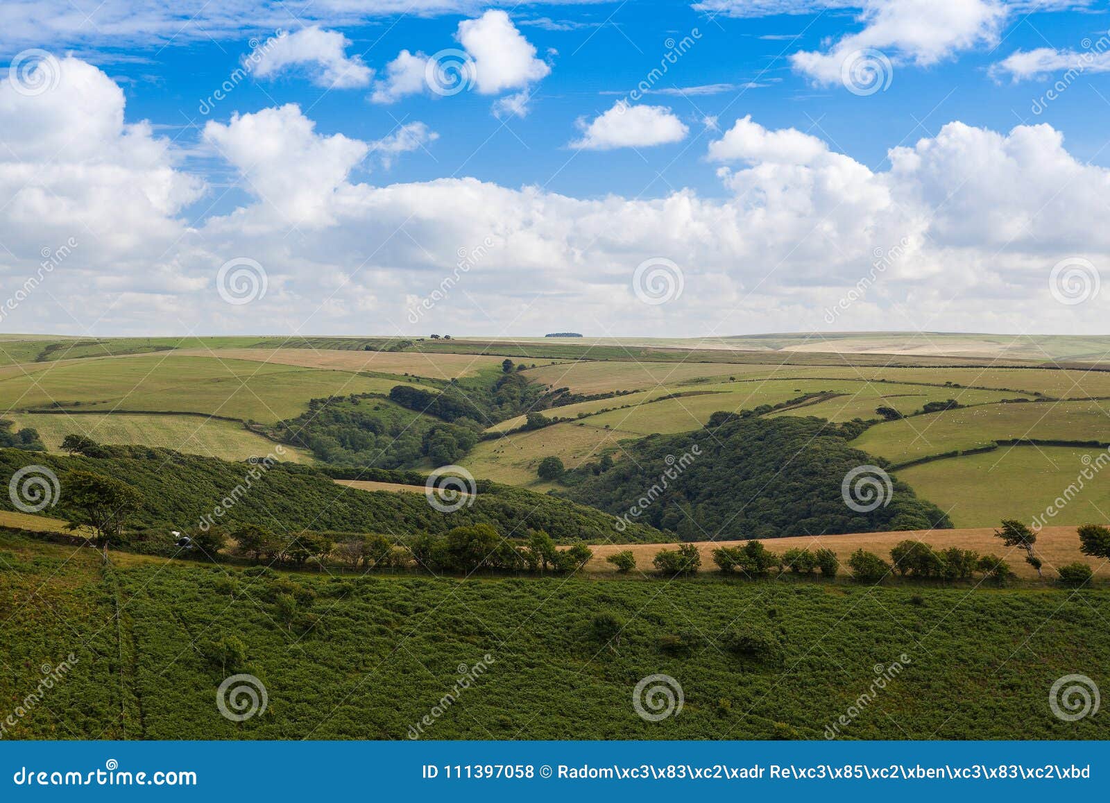 Typical Landscape in Devon, Great Britain Stock Photo - Image of ...