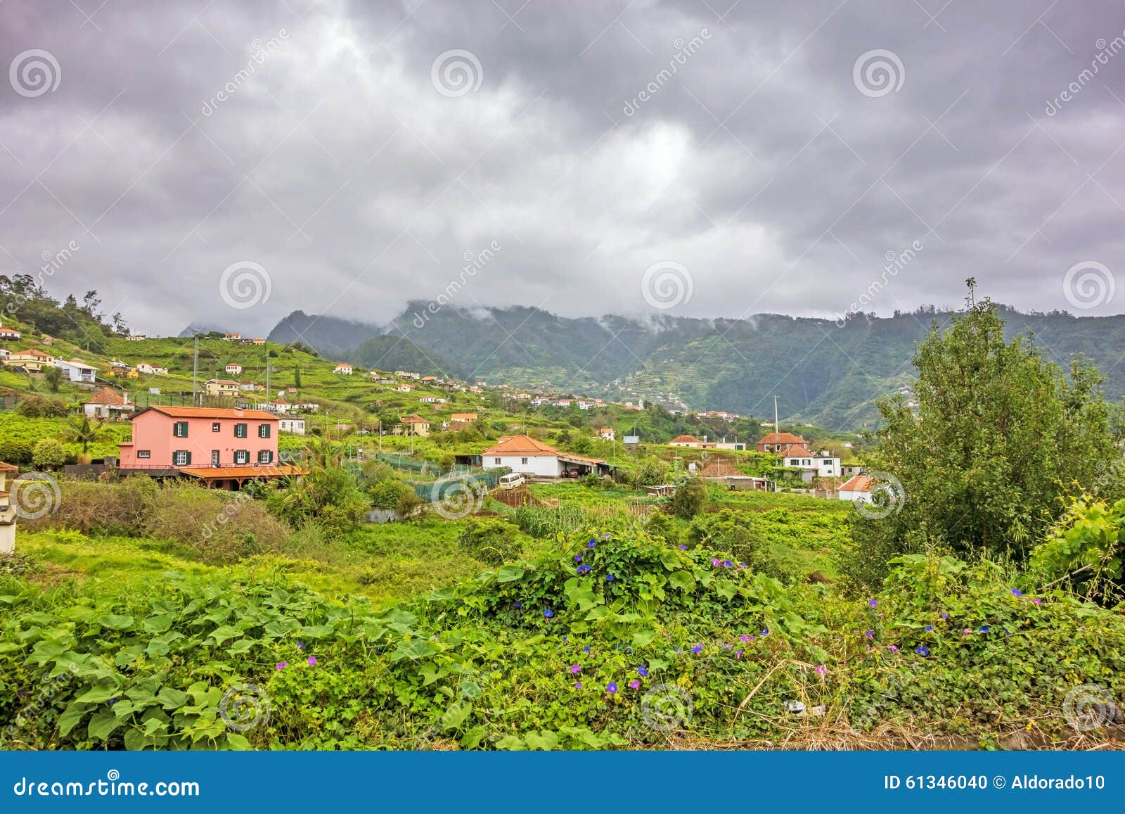 Typical Landscape of Madeira Island Near Faial, North Stock Photo ... Typical Landscape of Madeira Island Near Faial, North Stock Photo ...