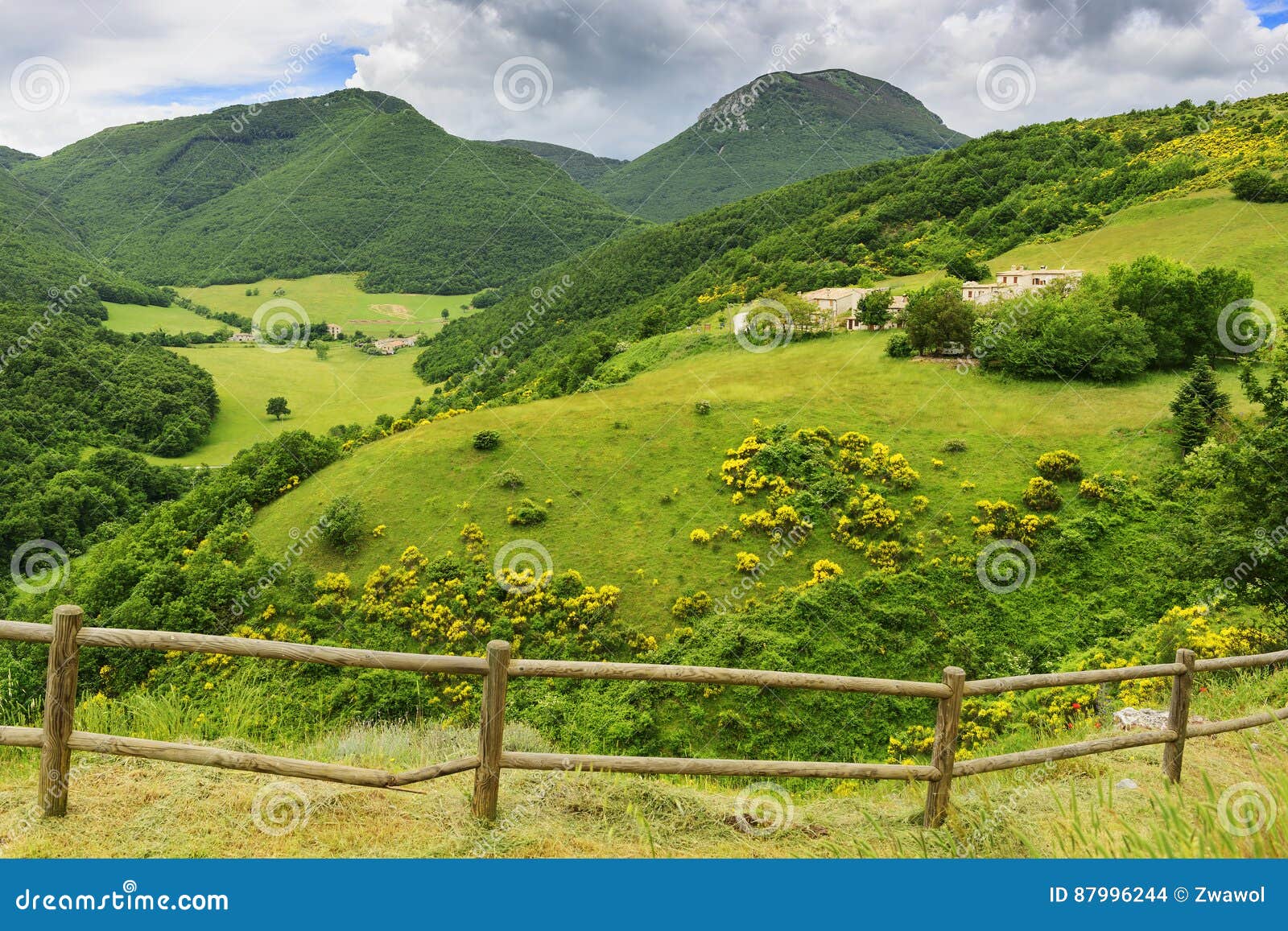 Typical Landscape in Marche Stock Photo - Image of high, italy: 87996244