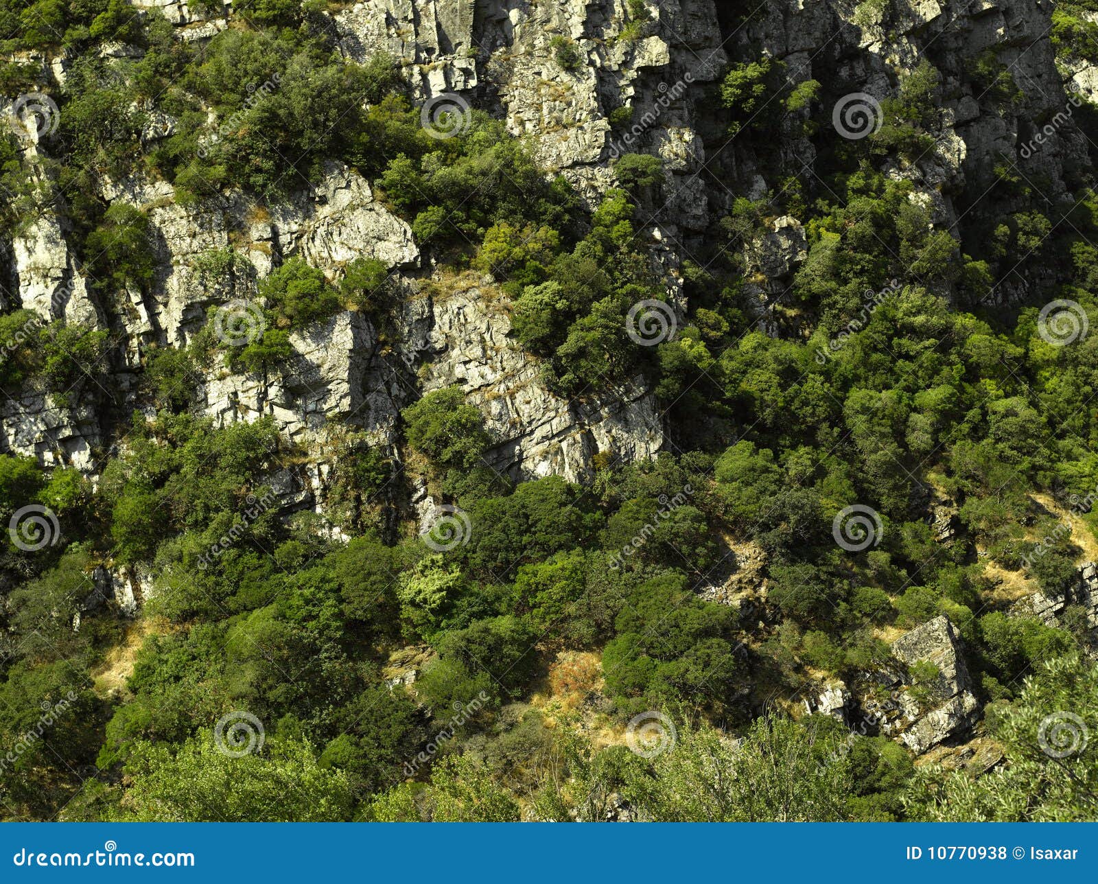 Typical Landscape of Southern France Stock Photo - Image of south ...