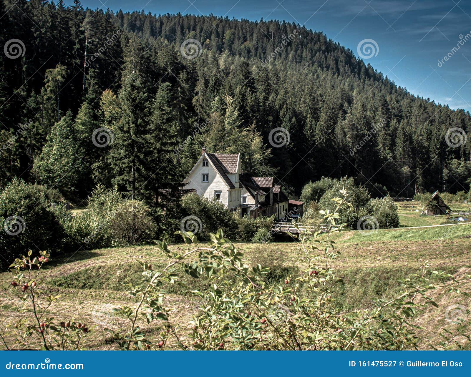 Typical Lonely Farm in the Black Forest Stock Image - Image of colorful ...