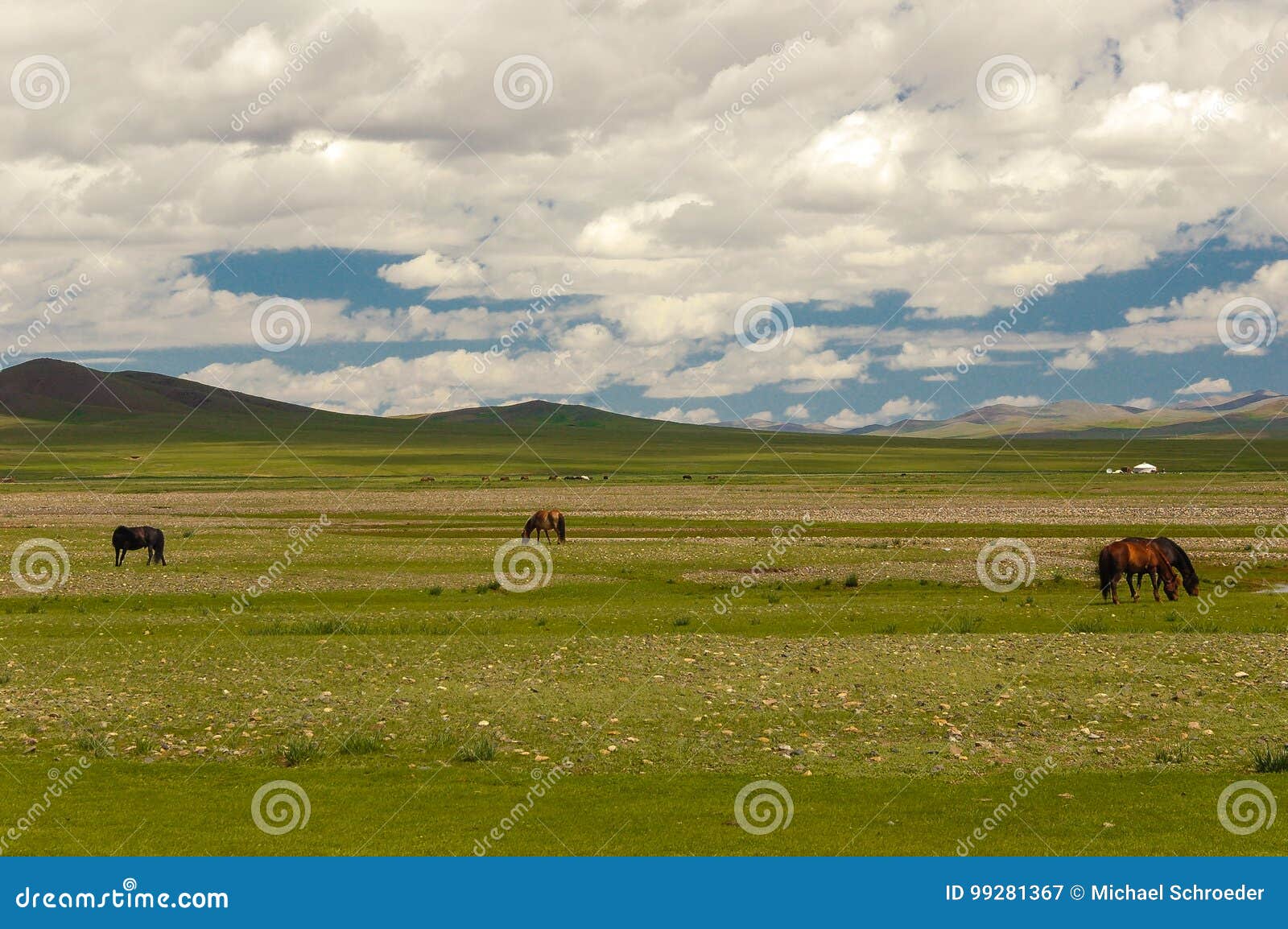 Typical Mongolian Landscape and Steppe Stock Image - Image of herd ...