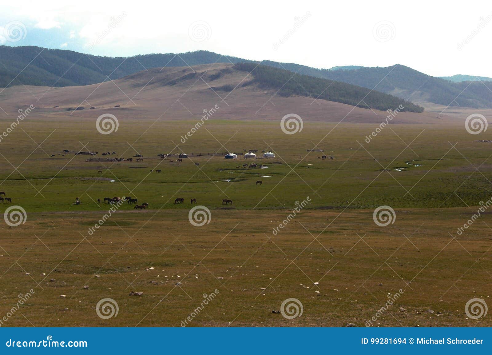 Typical Mongolian Landscape and Steppe Stock Photo - Image of gobi ...