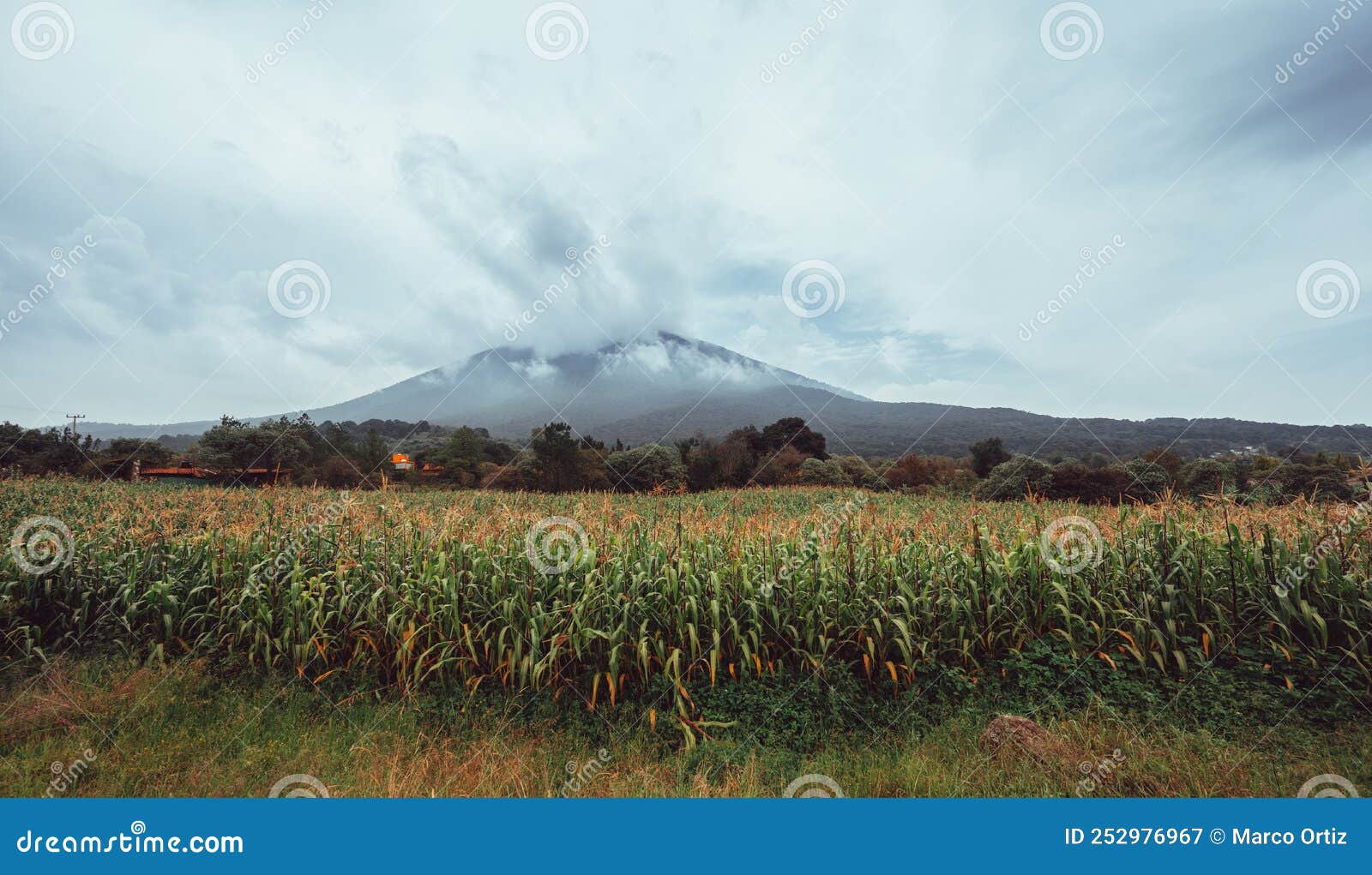 Typical Mountainous Landscapes of Mexico, with Corn Fields Stock Image ...