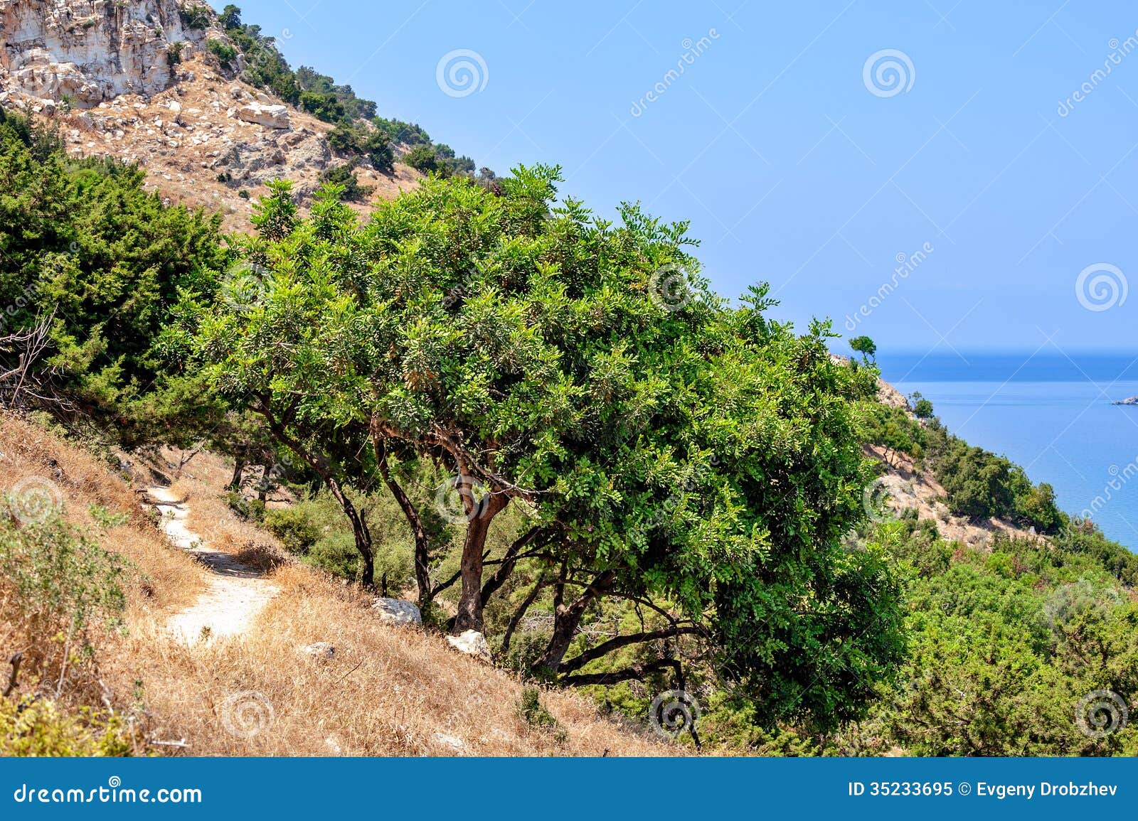 Typical Nature Landscape on Cyprus Stock Image - Image of countryside ...