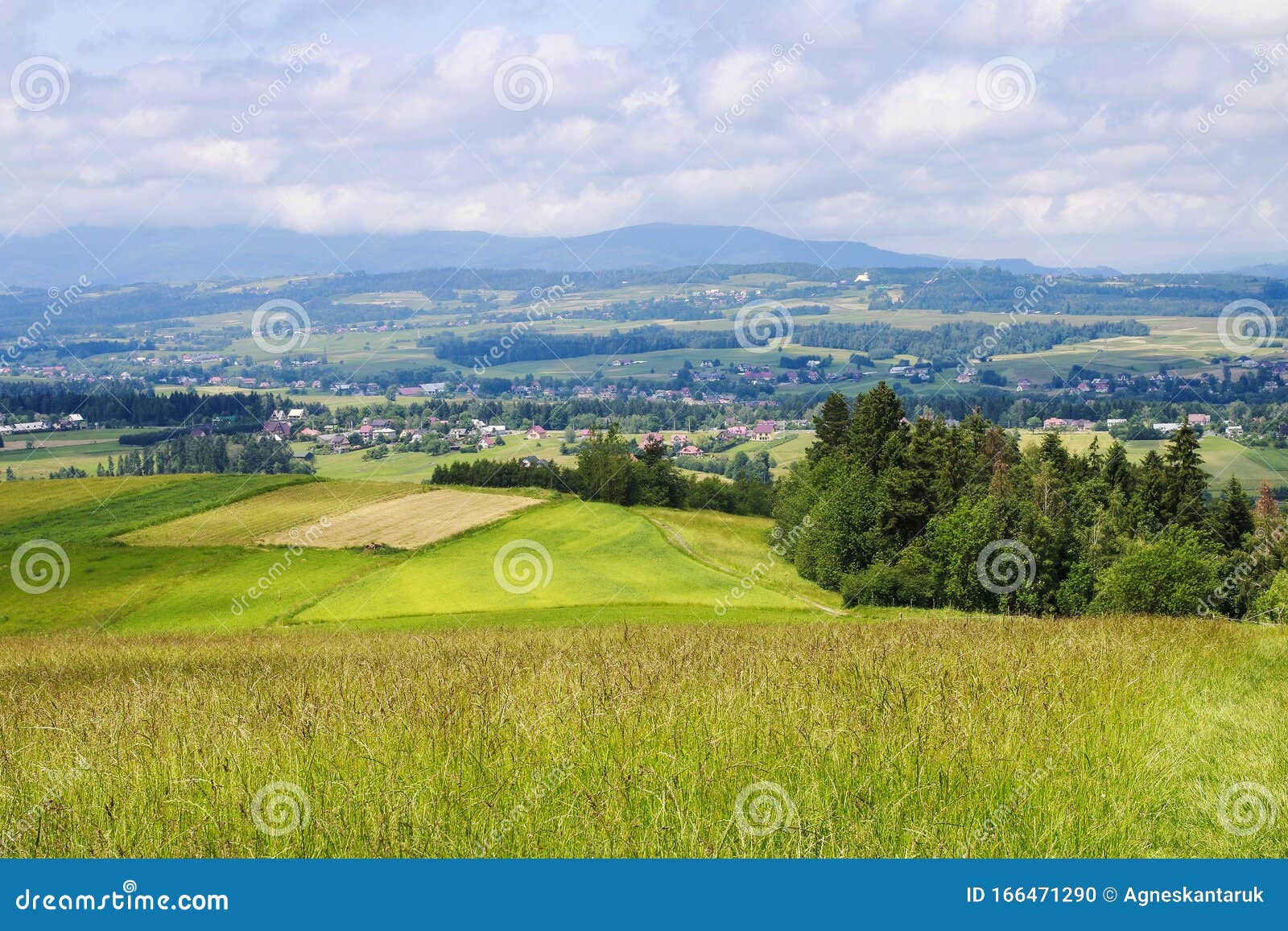 Typical polish landscape stock photo. Image of poland - 166471290