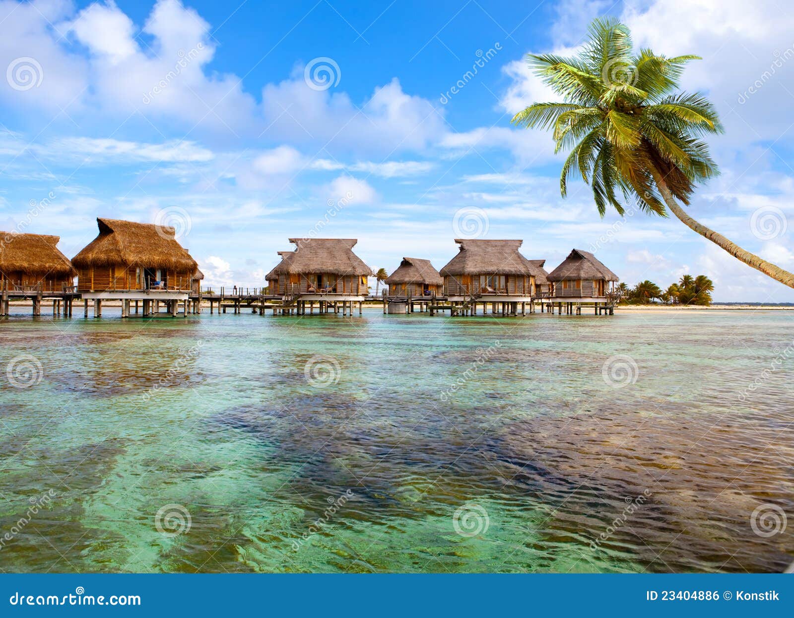 Typical Polynesian Landscape-seacoast with Palm Stock Photo - Image of ...