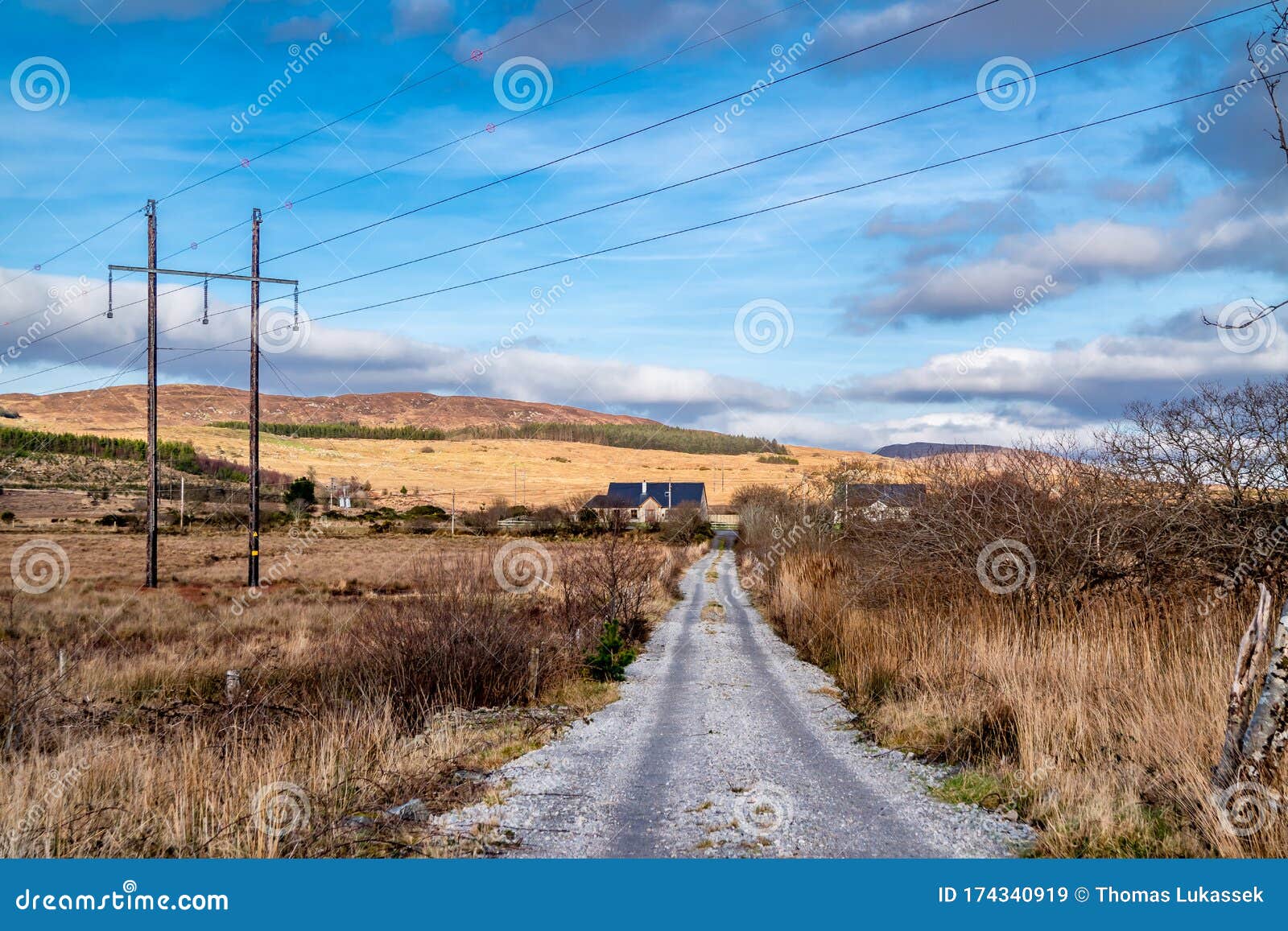 Typical Power Lines in Rural Landscape of Ireland Stock Image - Image ...
