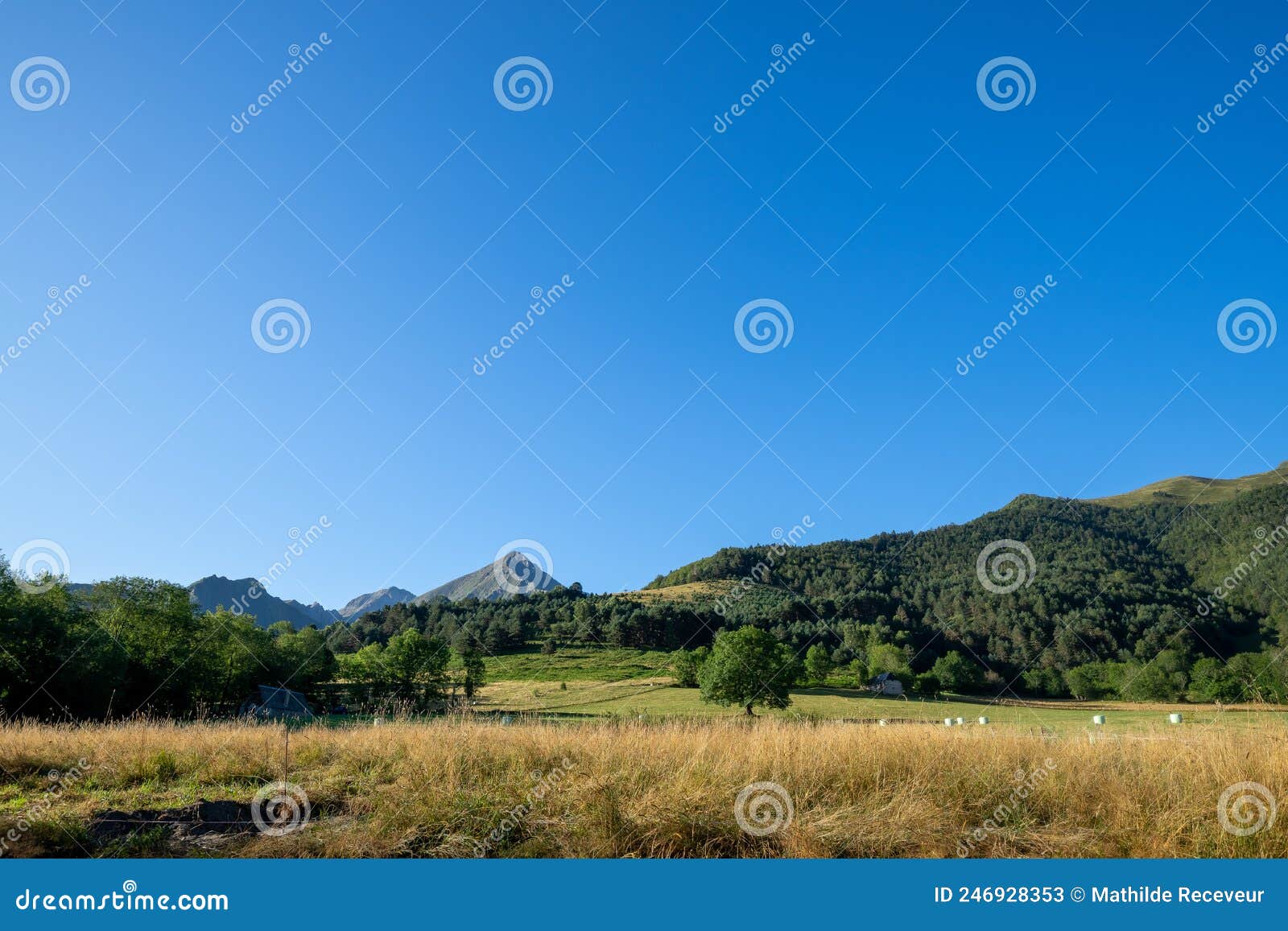 Typical Pyrenean Landscape in the Aure Valley. Amazing View on the ...