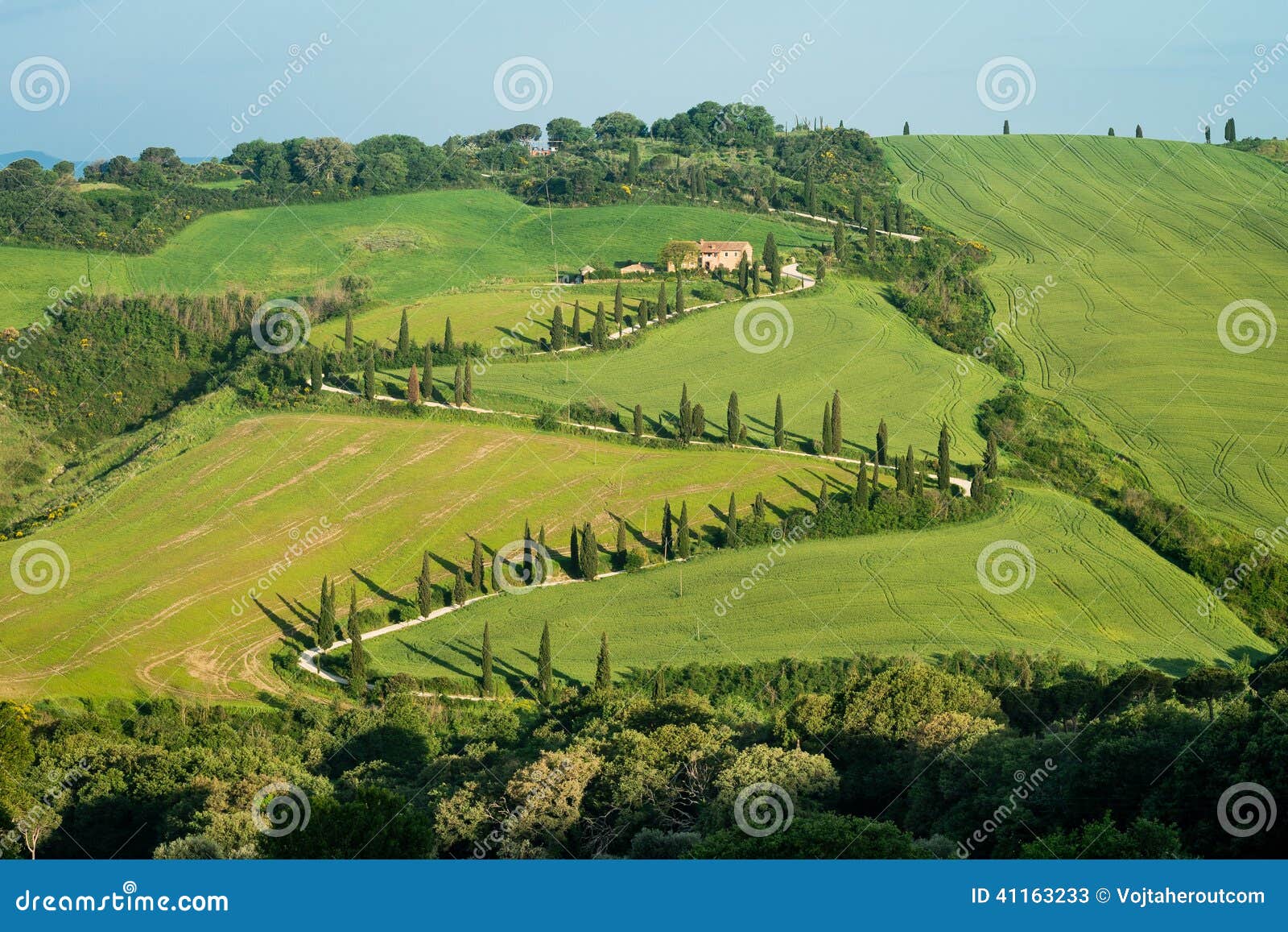 Typical Road Lined with Cypress Trees in Tuscany, Italy Stock Image ...