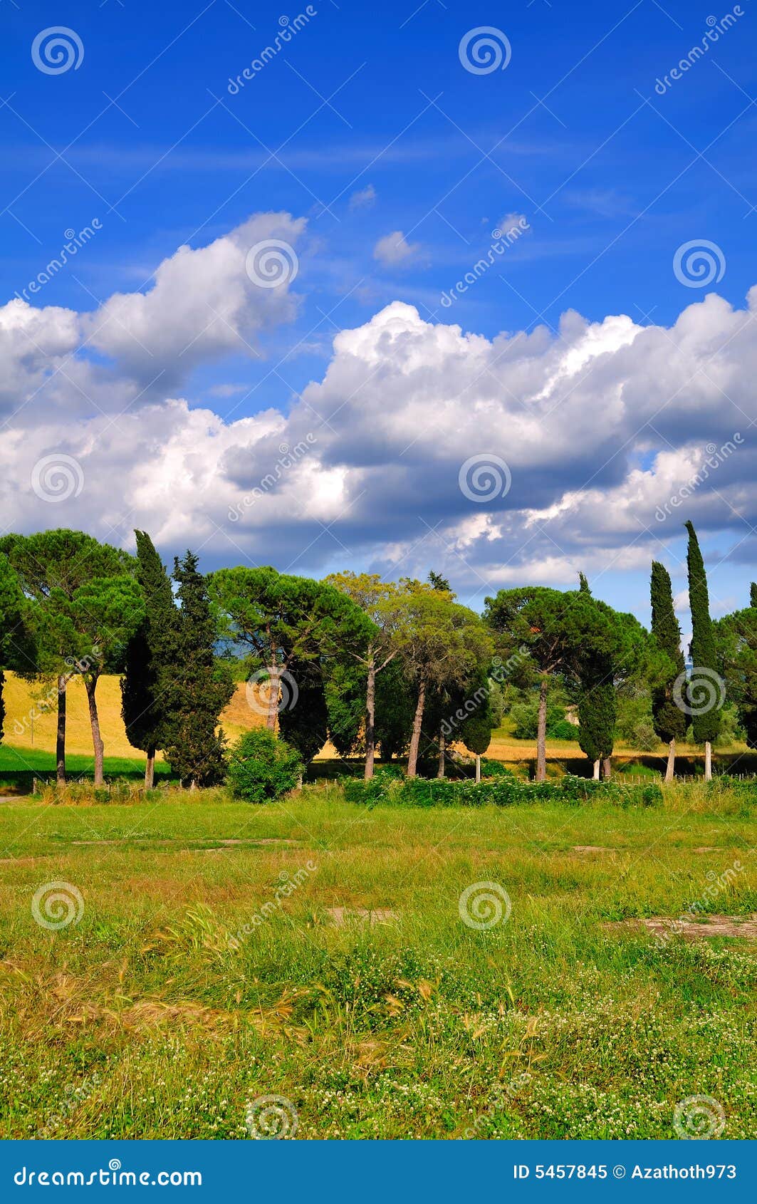 Typical Roman Countryside stock image. Image of italian - 5457845
