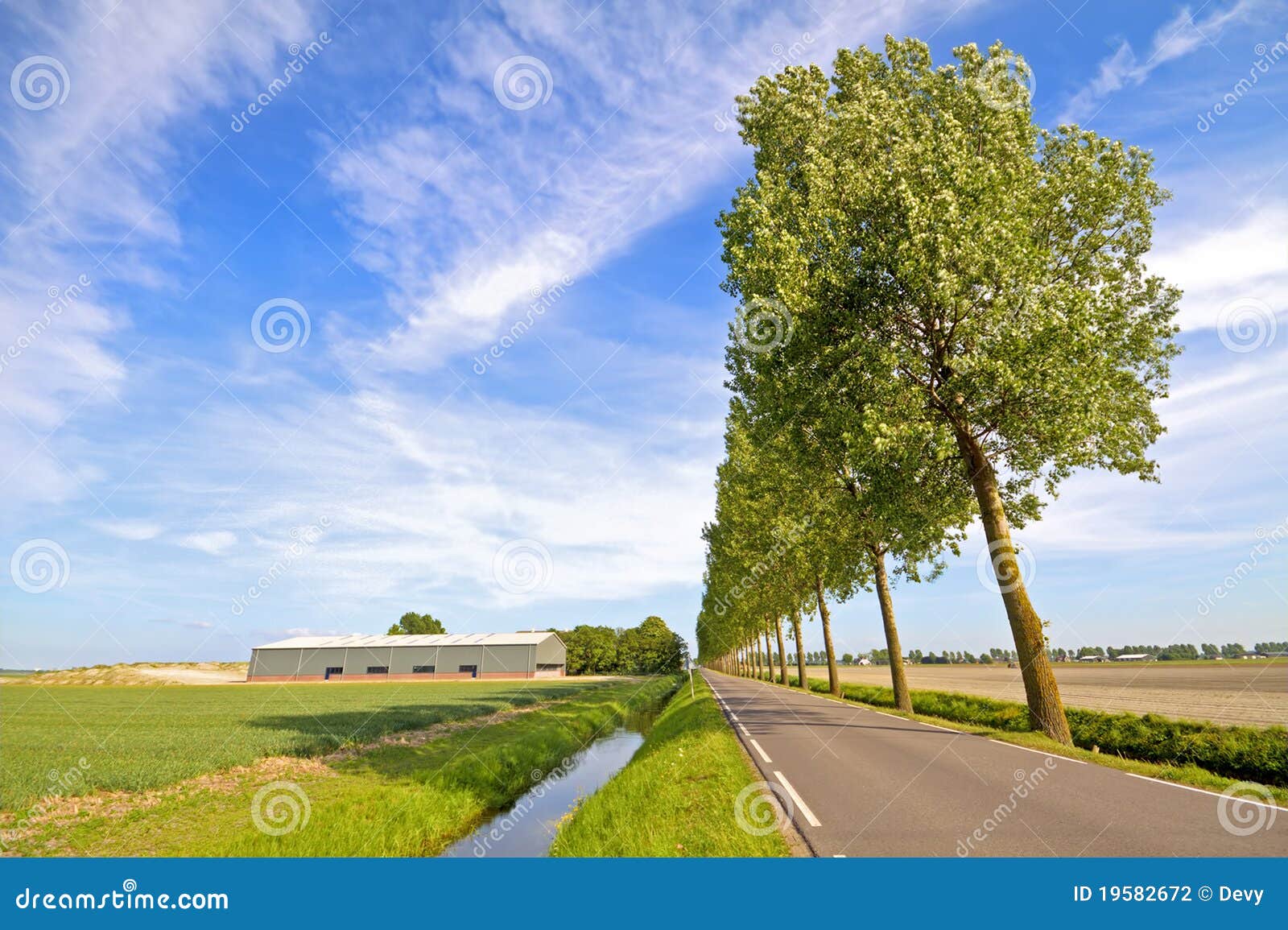 Typical Rural Dutch Landscape Stock Photo - Image of landscape, outdoor ...