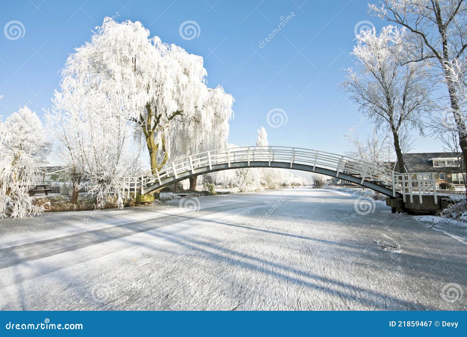 Typical Rural Dutch Landscape in Winter Stock Image - Image of ...