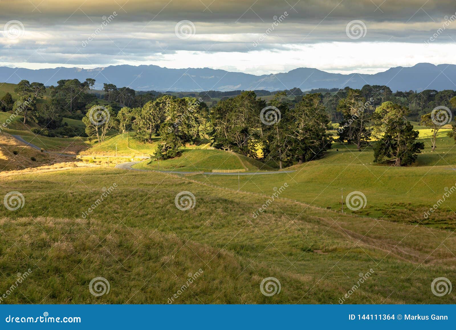 Typical Rural Landscape in New Zealand Stock Photo - Image of scene ...