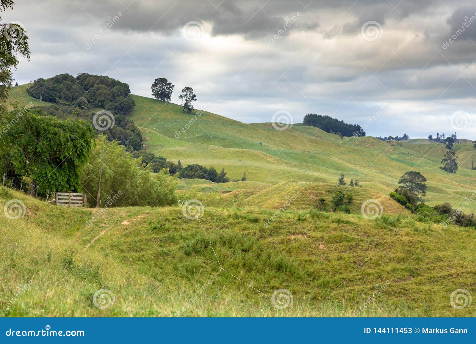 Typical Rural Landscape in New Zealand Stock Image - Image of sunset ...
