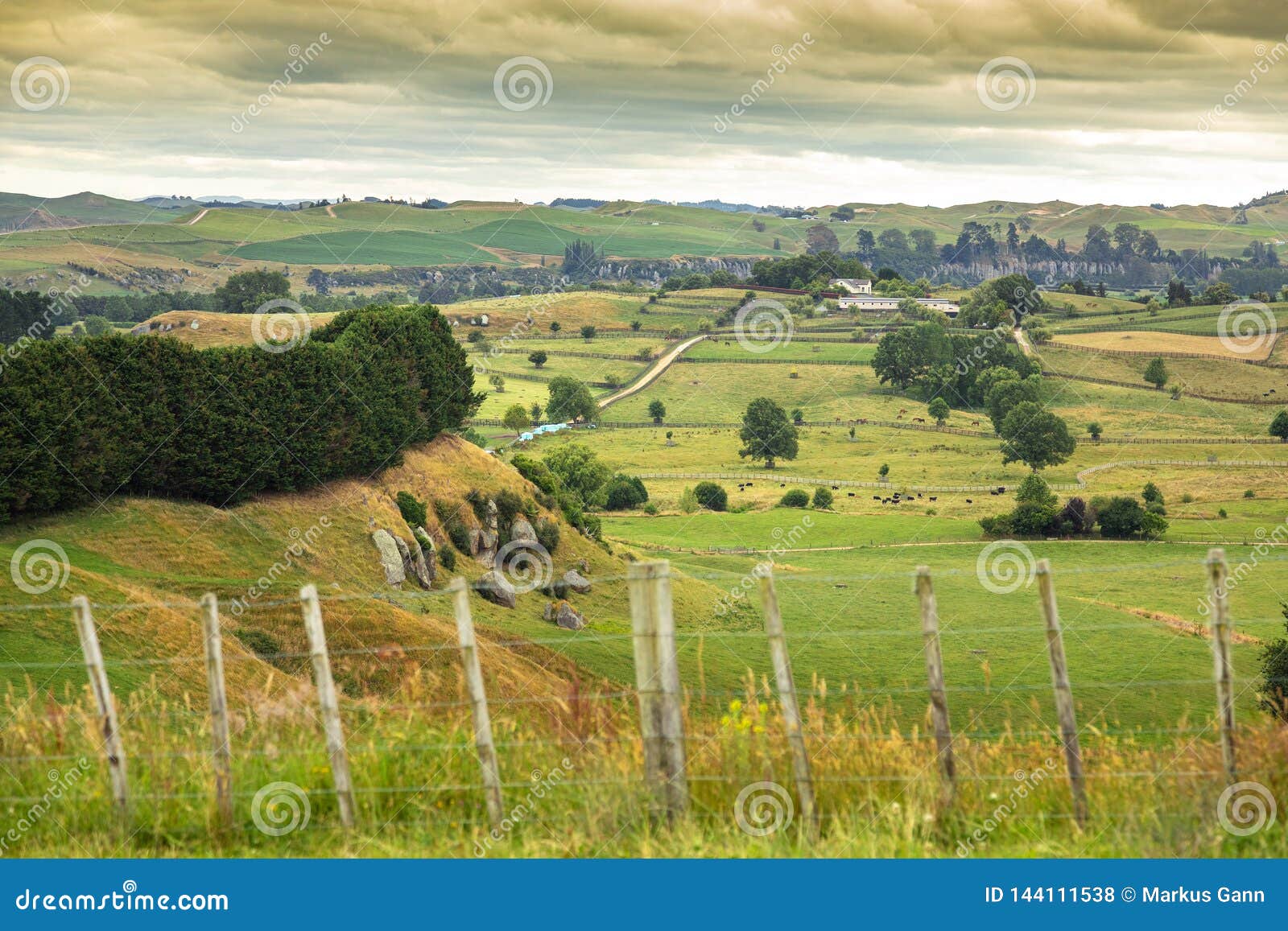 Typical Rural Landscape in New Zealand Stock Photo - Image of scenery ...