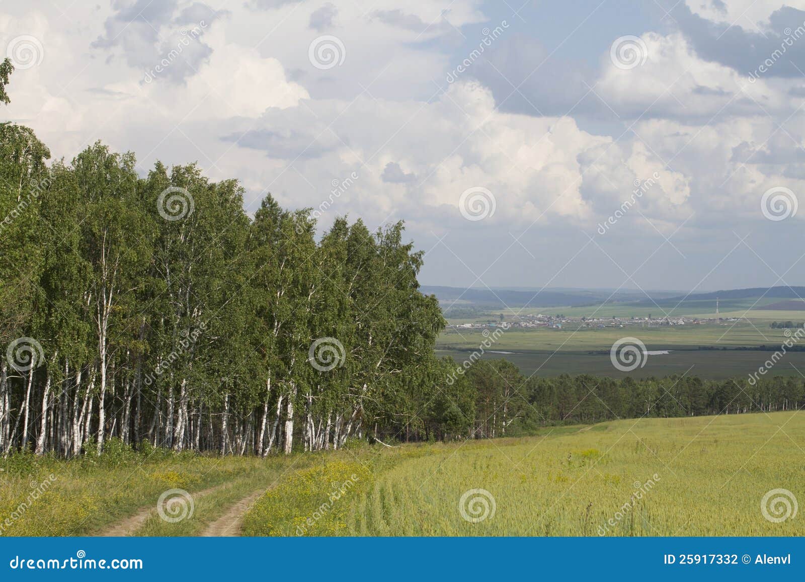 A Typical Russian Landscape Stock Photo - Image of blue, landscape ...