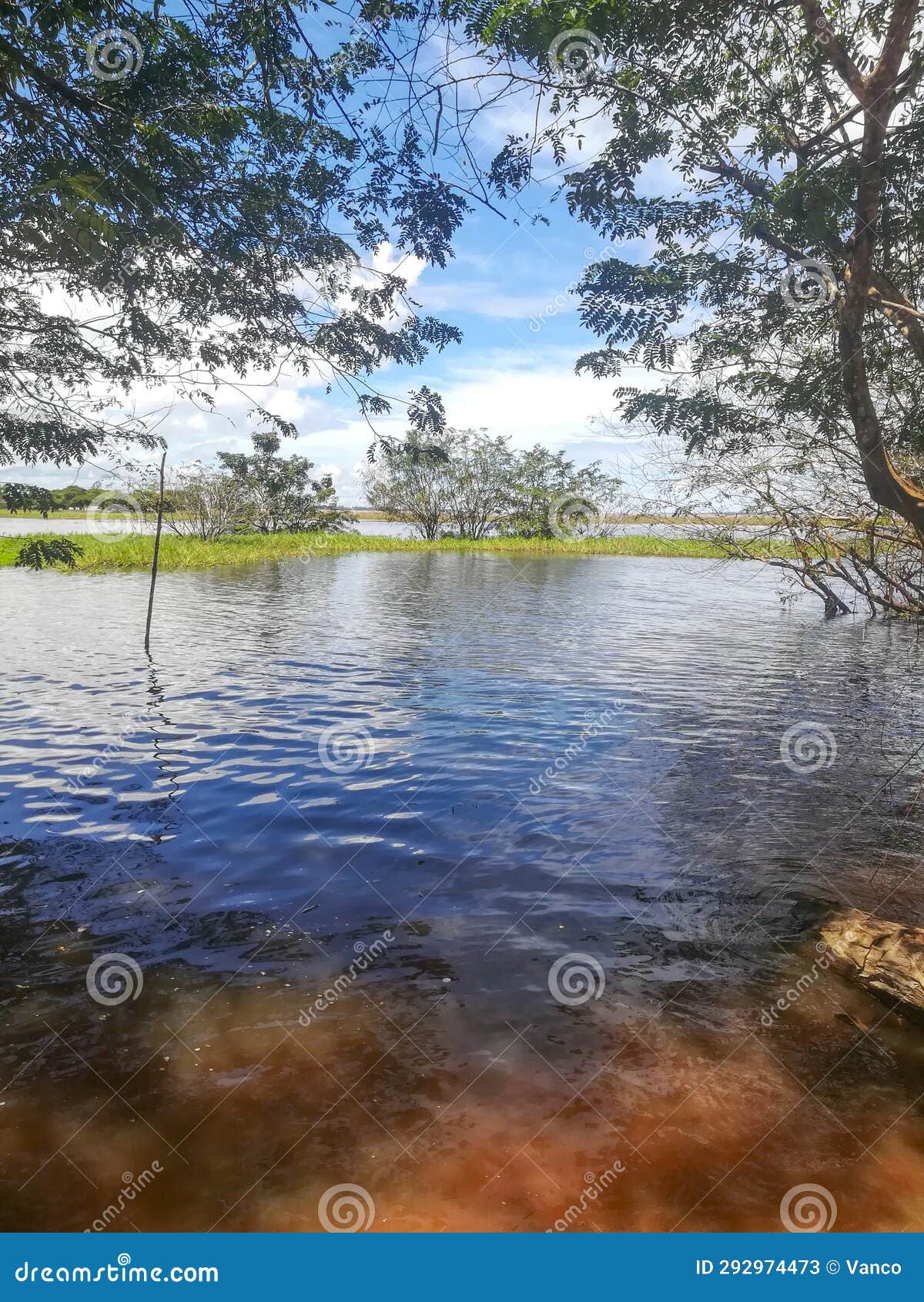 A Typical Scene in an Amazonian Village in the Amazon Basin. Stock ...