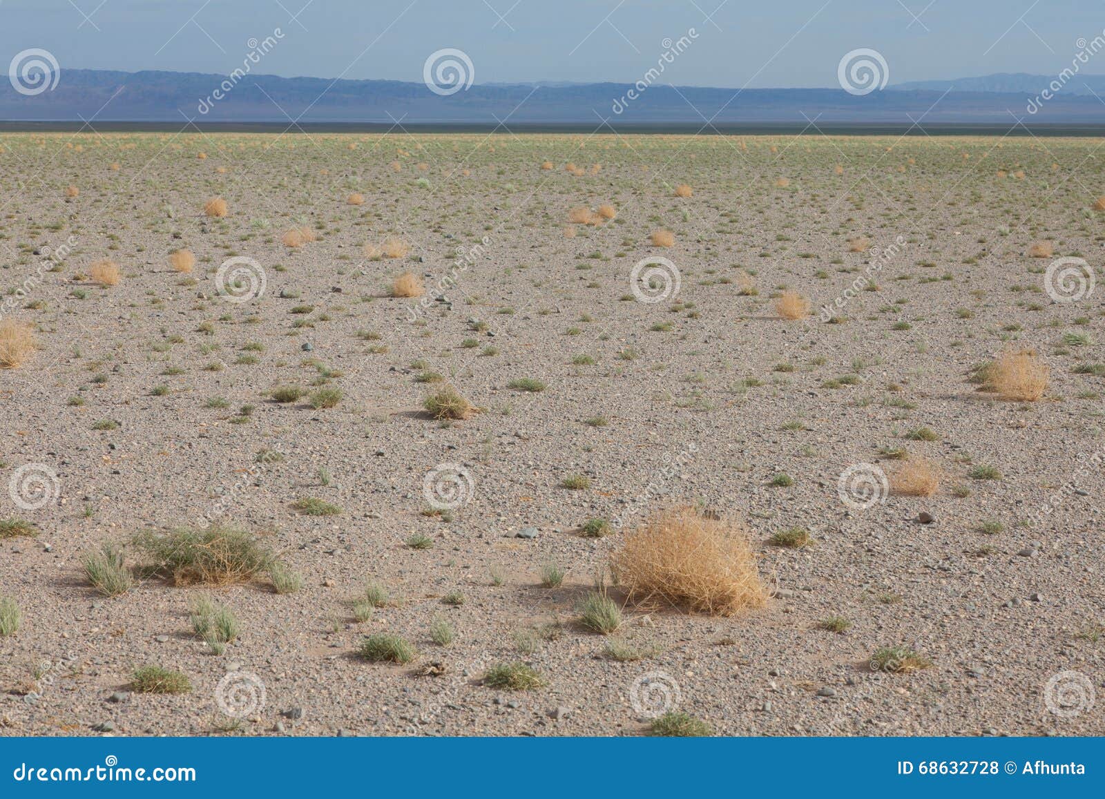 Typical steppe landscape stock photo. Image of landscape - 68632728