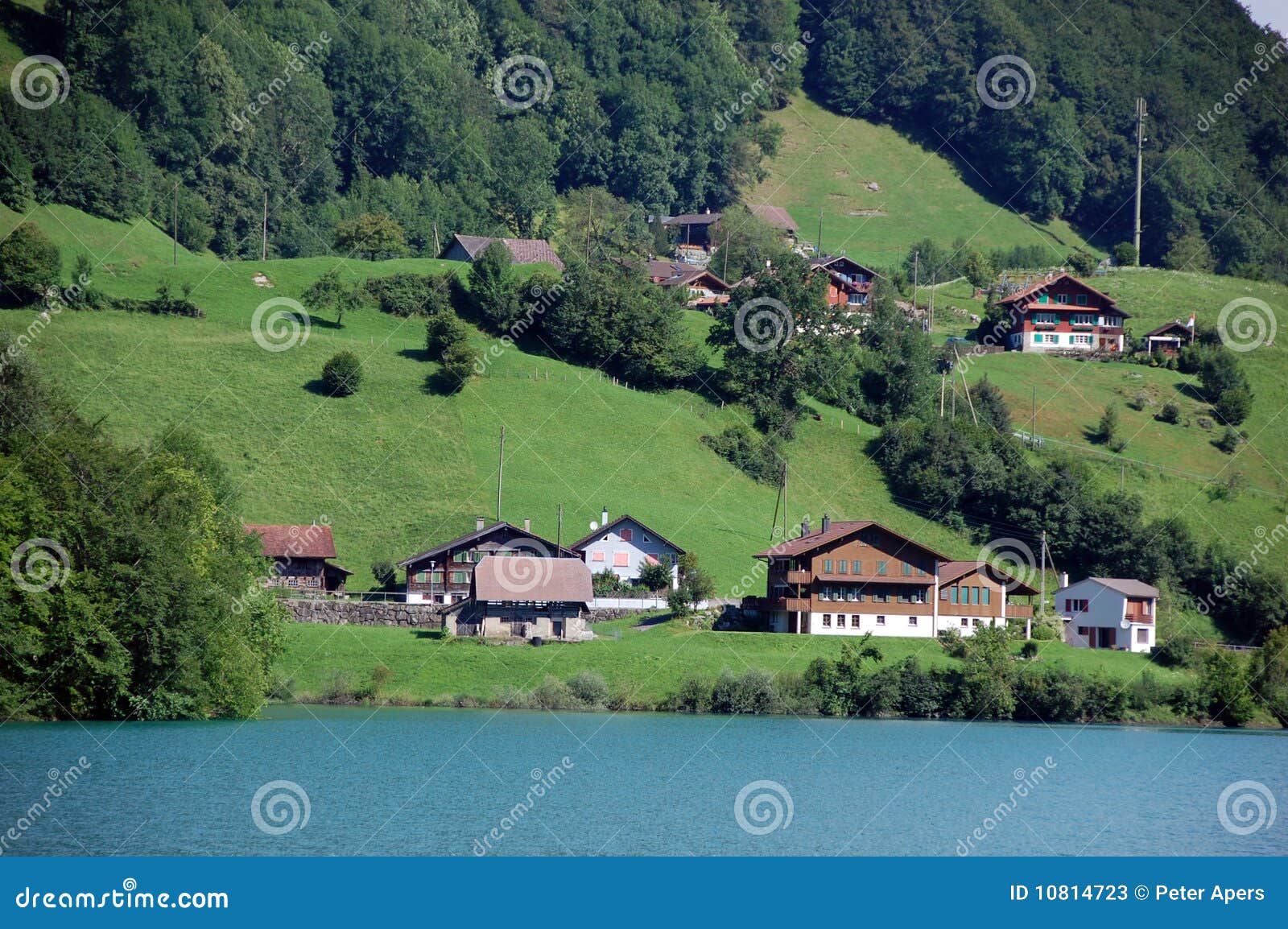 Typical Swiss houses stock image. Image of trees, woods - 10814723