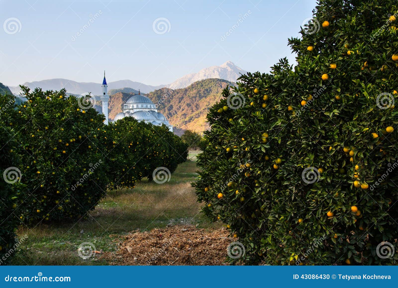 Typical Turkish Rural Landscape Stock Photo - Image of tradition ...
