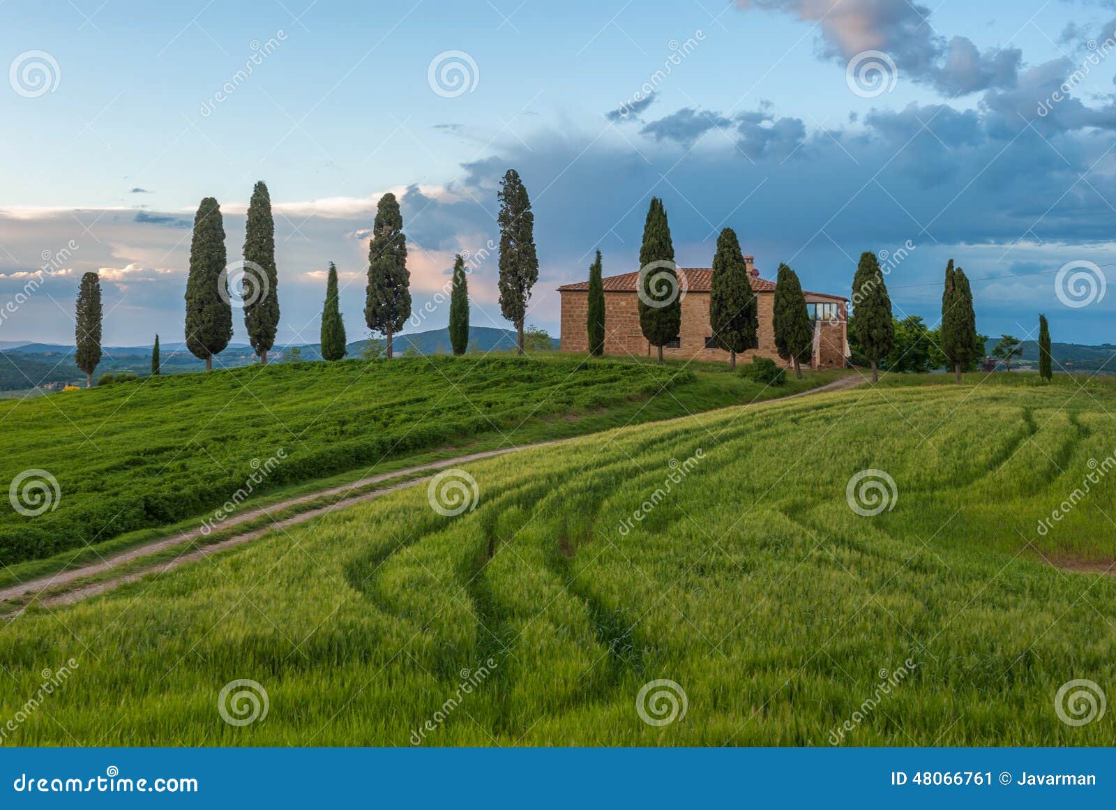 Typical tuscan landscape stock image. Image of italy - 48066761
