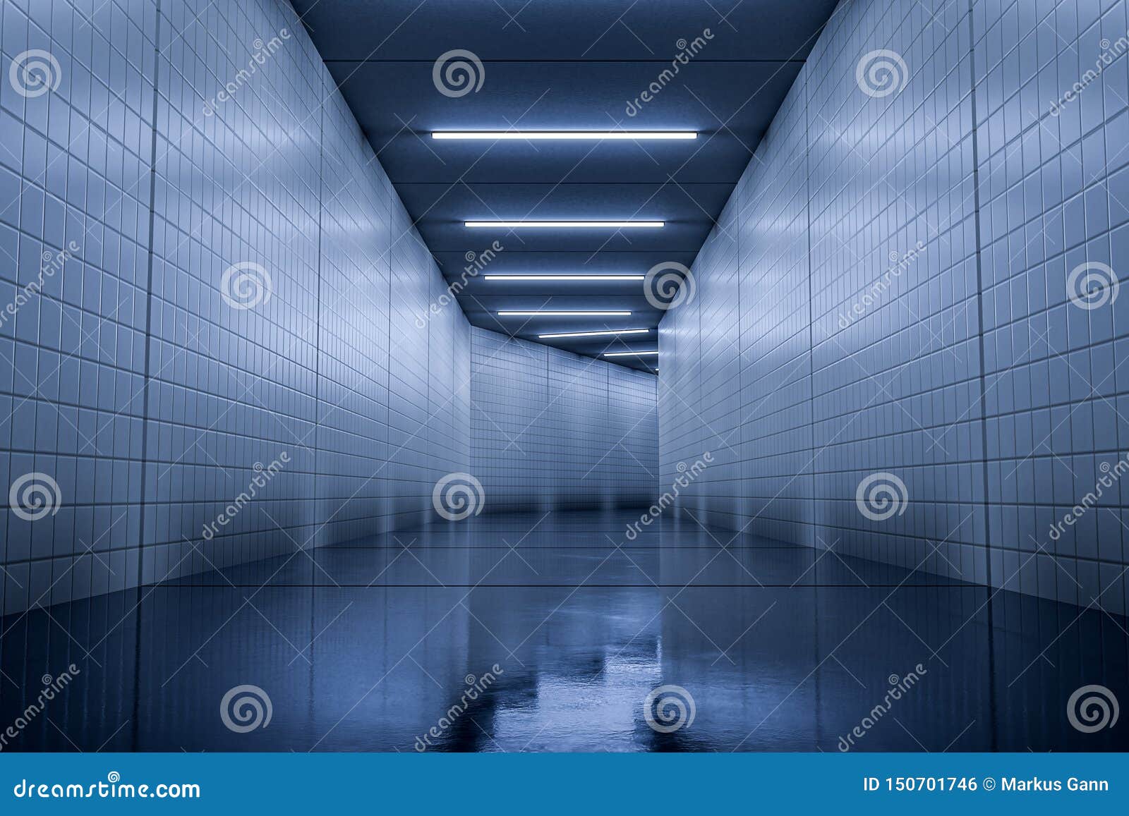 Underground Corridor Drainage System And Metal Pipelines Transport ...