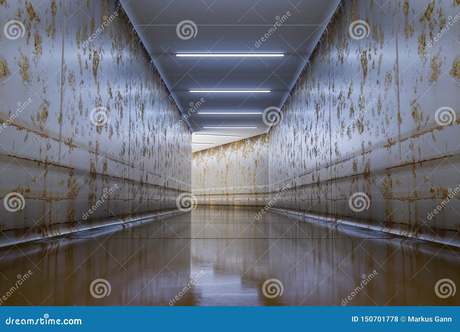 Underground Corridor Drainage System And Metal Pipelines Transport ...