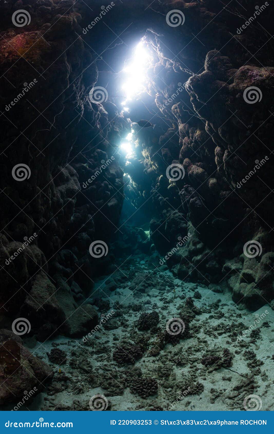Typical Underwater Cave in a Red Sea Reef Stock Image - Image of ...