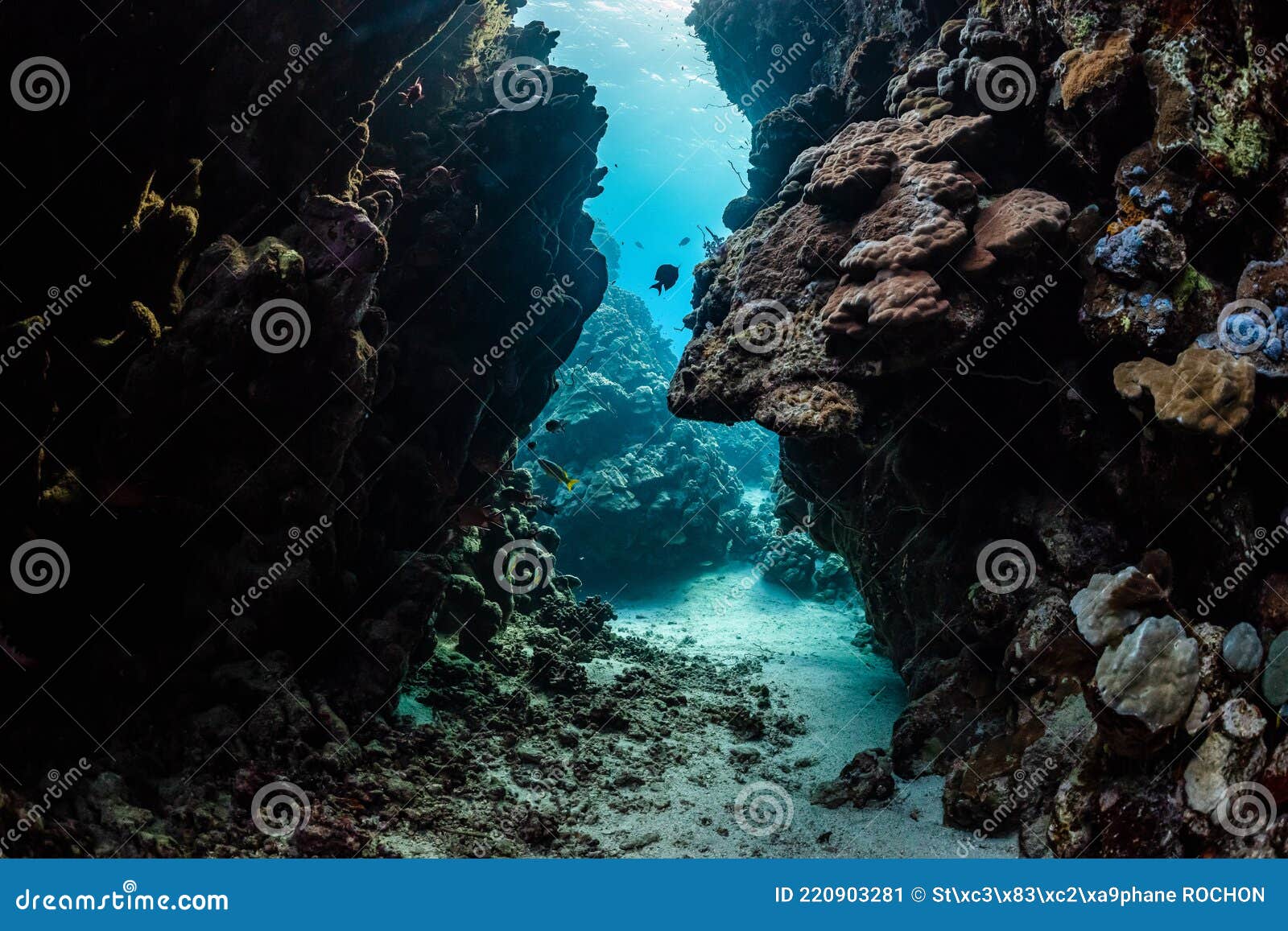 Typical Underwater Cave in a Red Sea Reef Stock Image - Image of scuba ...