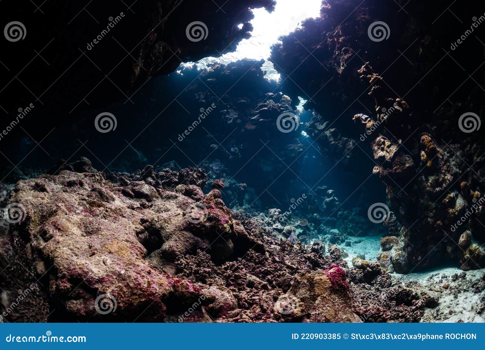 Typical Underwater Cave in a Red Sea Reef Stock Image - Image of diver ...