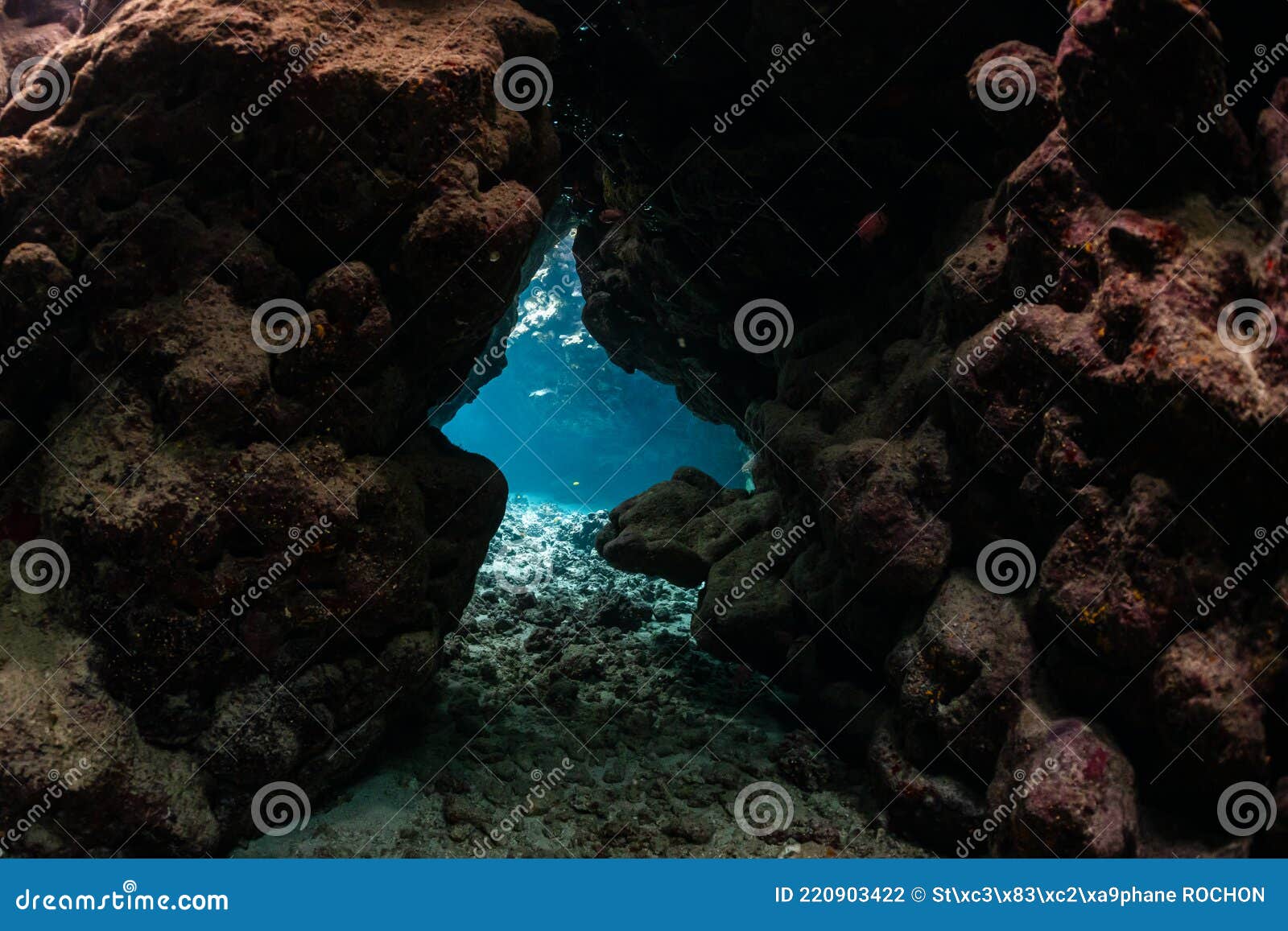 Typical Underwater Cave in a Red Sea Reef Stock Photo - Image of egypt ...