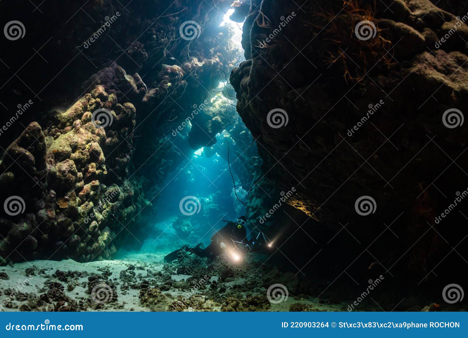 Typical Underwater Cave in a Red Sea Reef Stock Photo - Image of marine ...